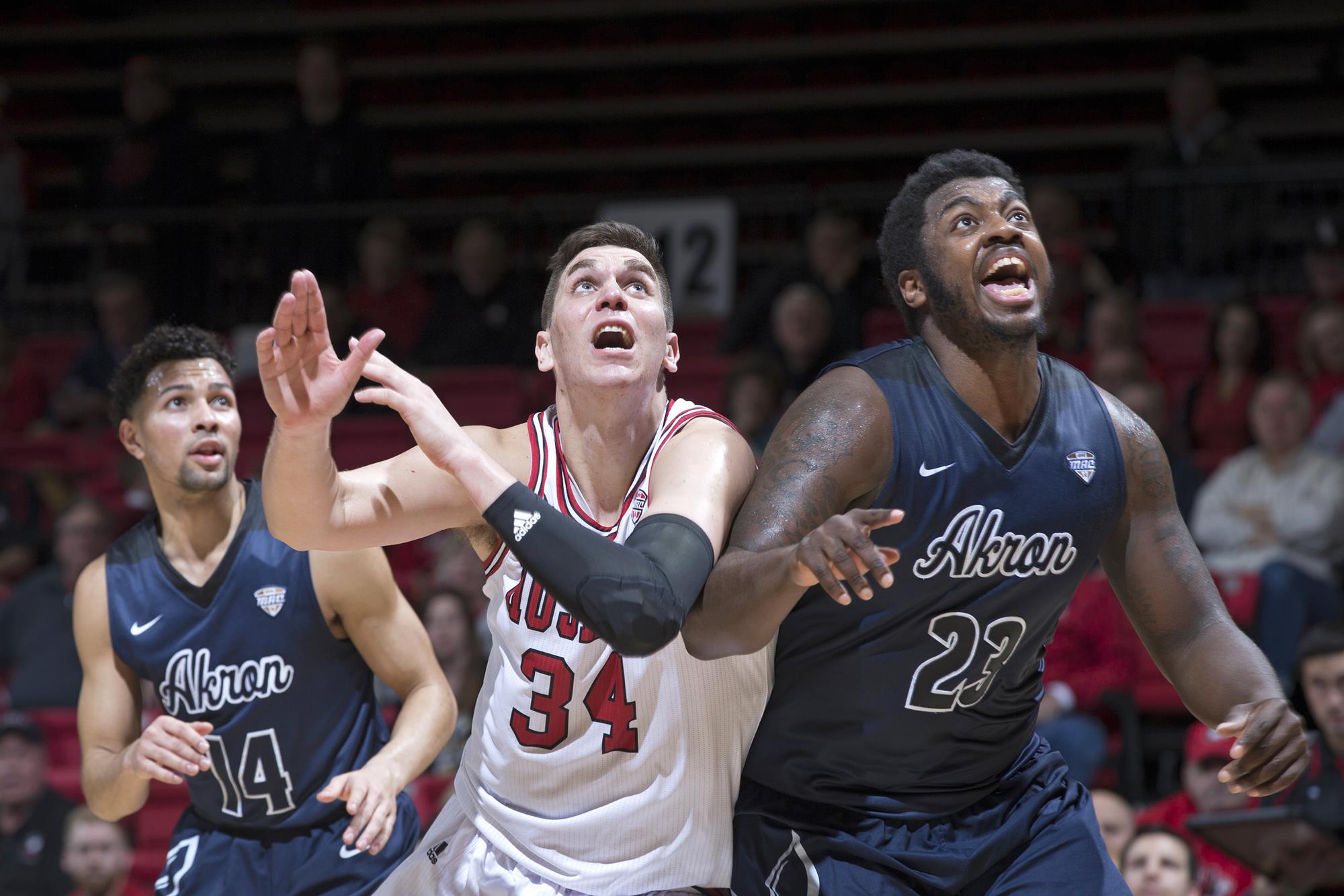 Marin Maric - Men's Basketball - NIU Athletics