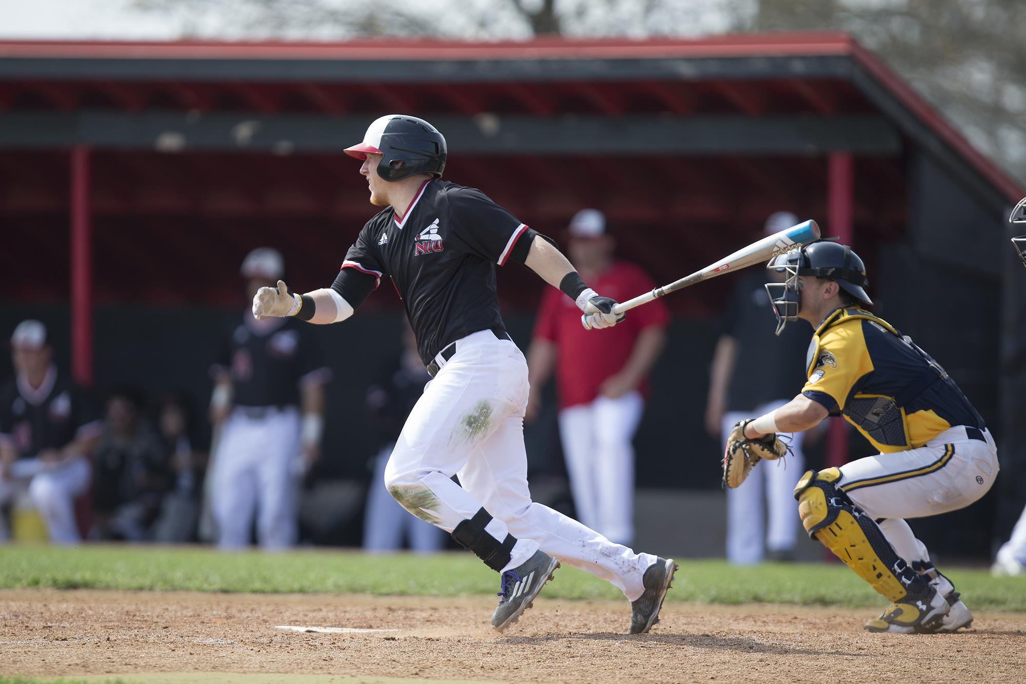 Luke Yapp - Baseball - NIU Athletics