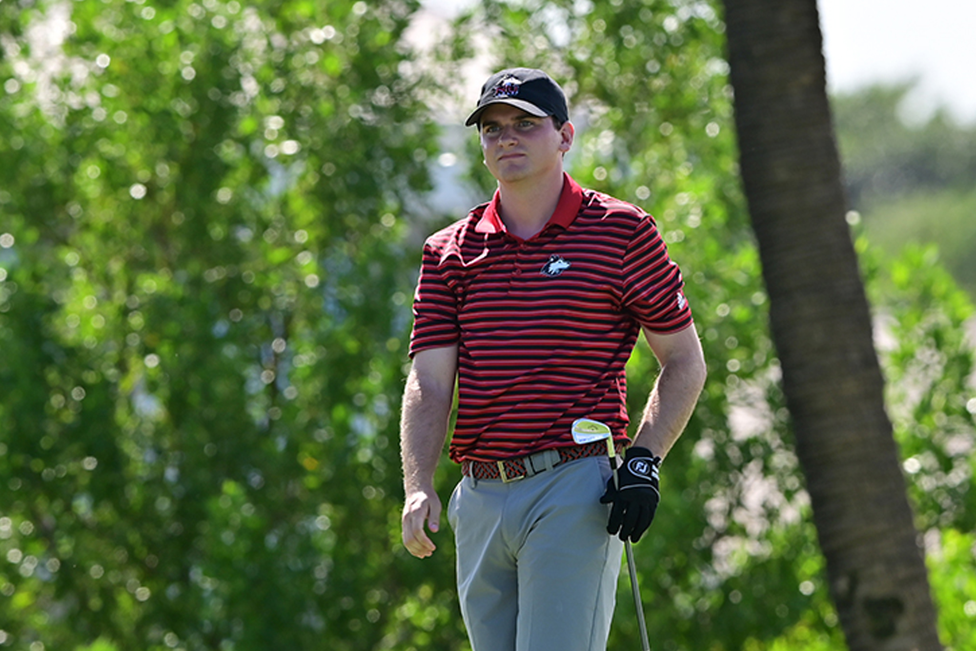 Jordan Less - Men's Golf - NIU Athletics