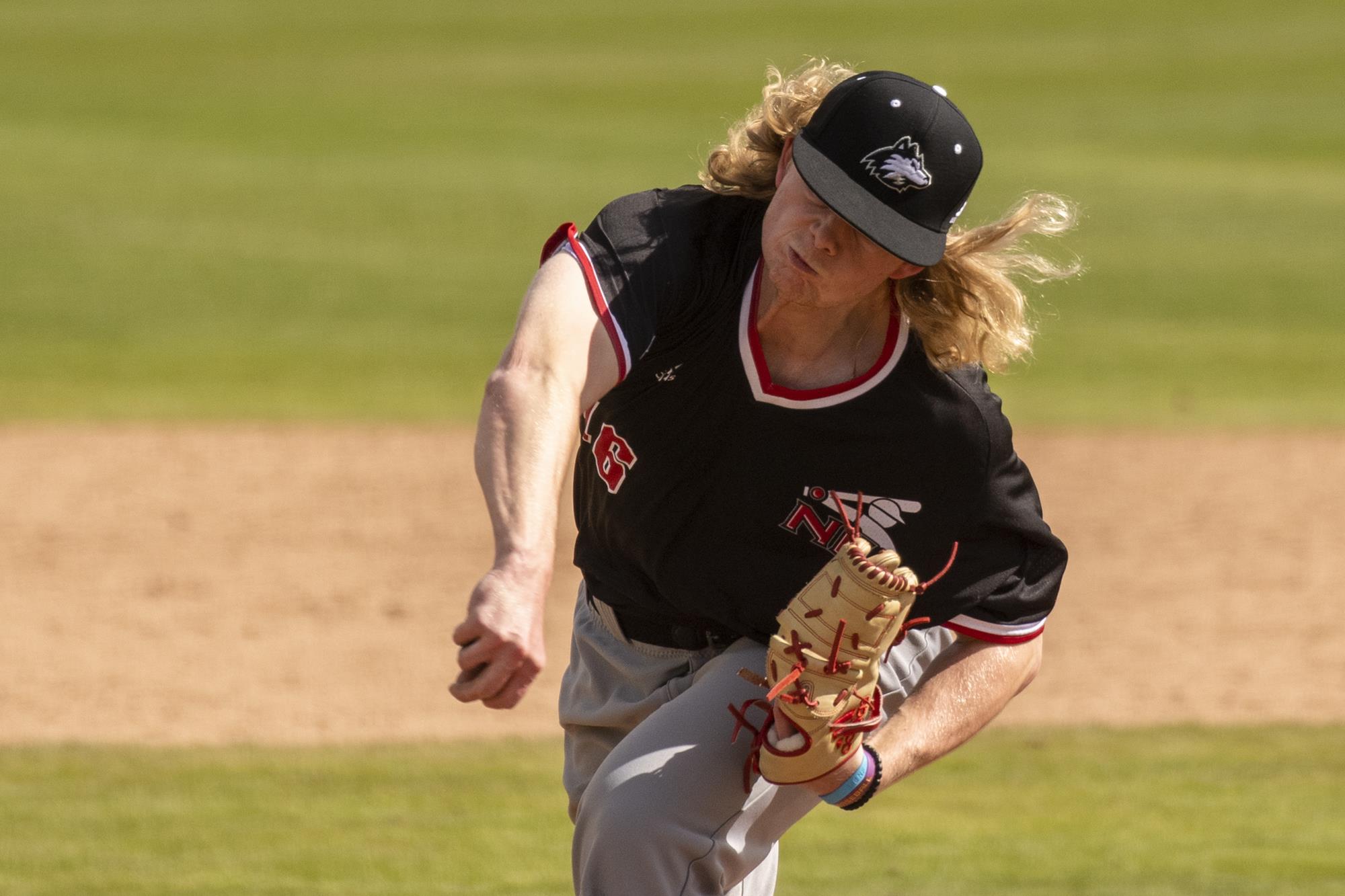 Ryan Anderson - Baseball - NIU Athletics
