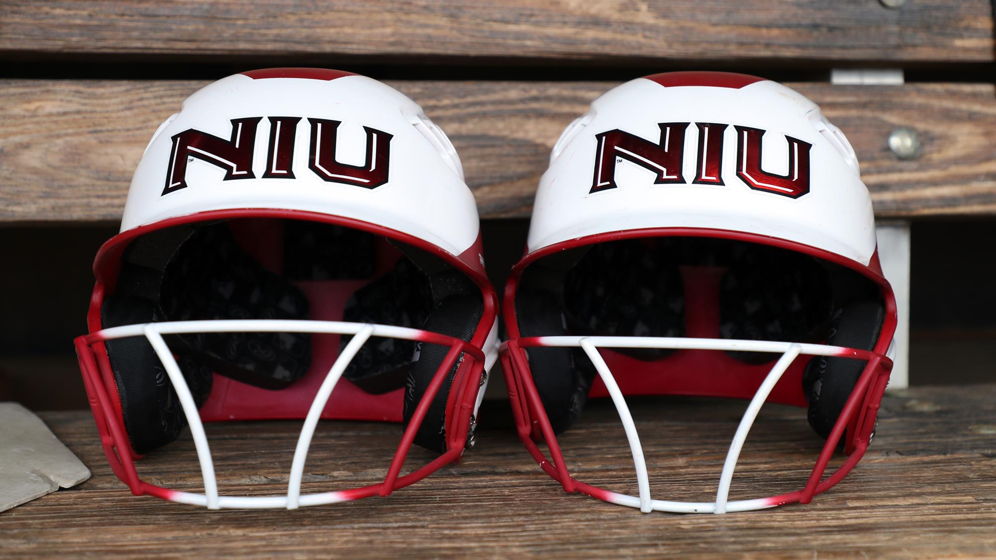 Kathryn Gleason Tabbed to Lead Huskie Softball Program - NIU Athletics