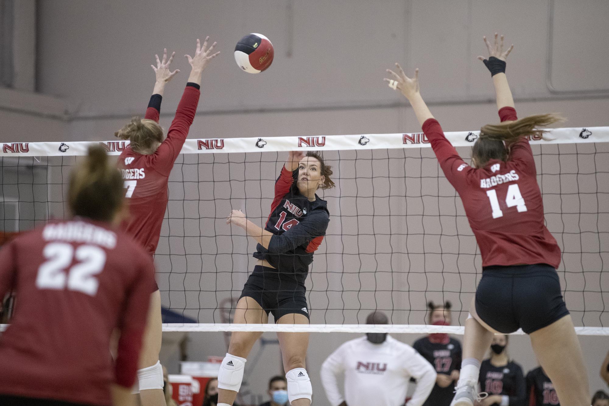 Kaitlyn Bell - Women's Volleyball - NIU Athletics