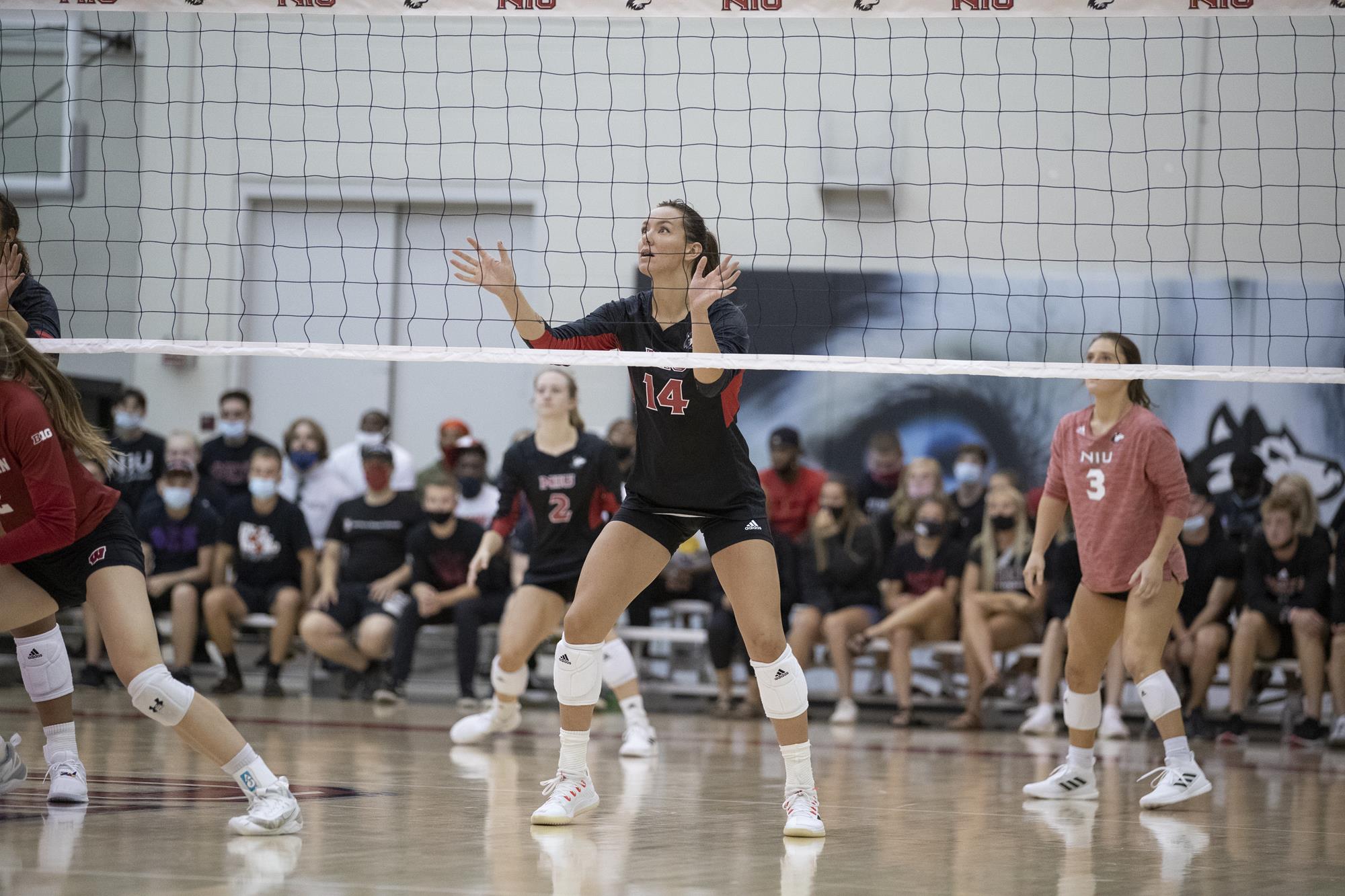 Kaitlyn Bell - Women's Volleyball - NIU Athletics