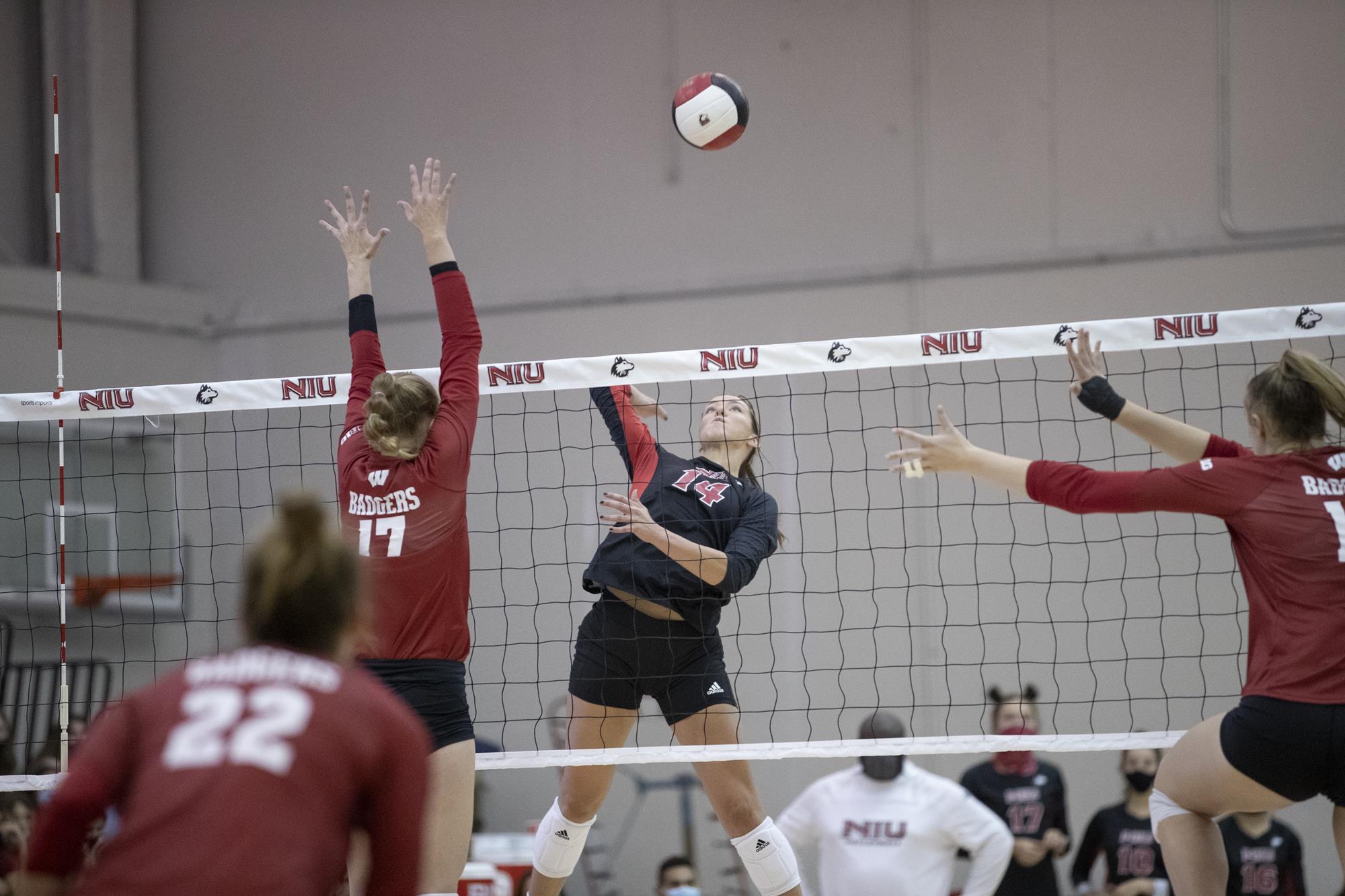 Kaitlyn Bell - Women's Volleyball - NIU Athletics