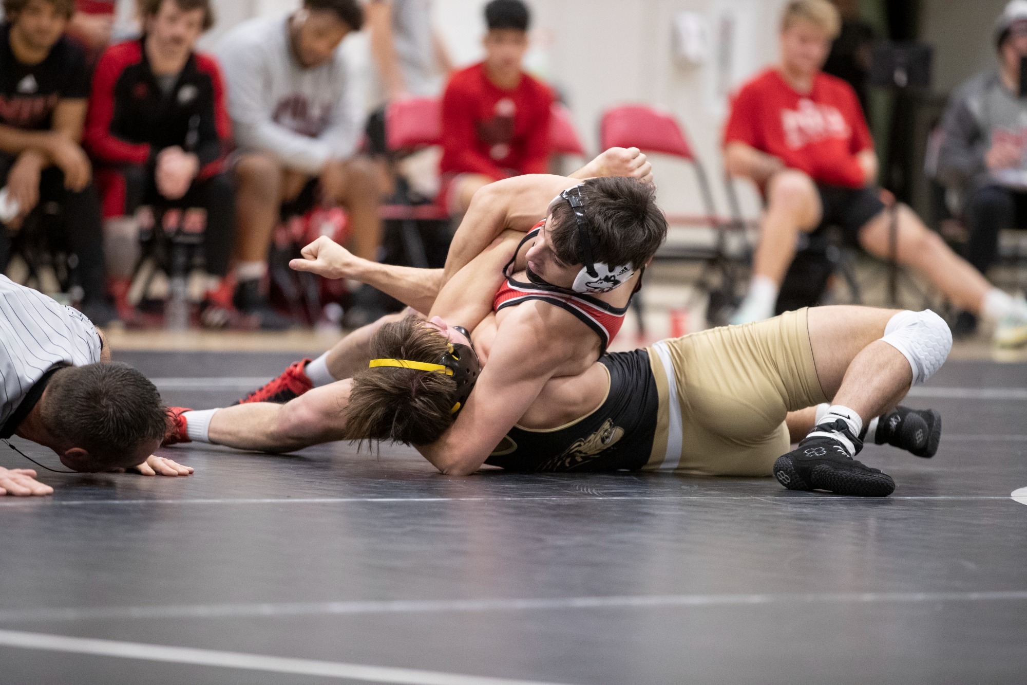 Gibson, Olejnik Pace NIU at Cougar Clash - NIU Athletics