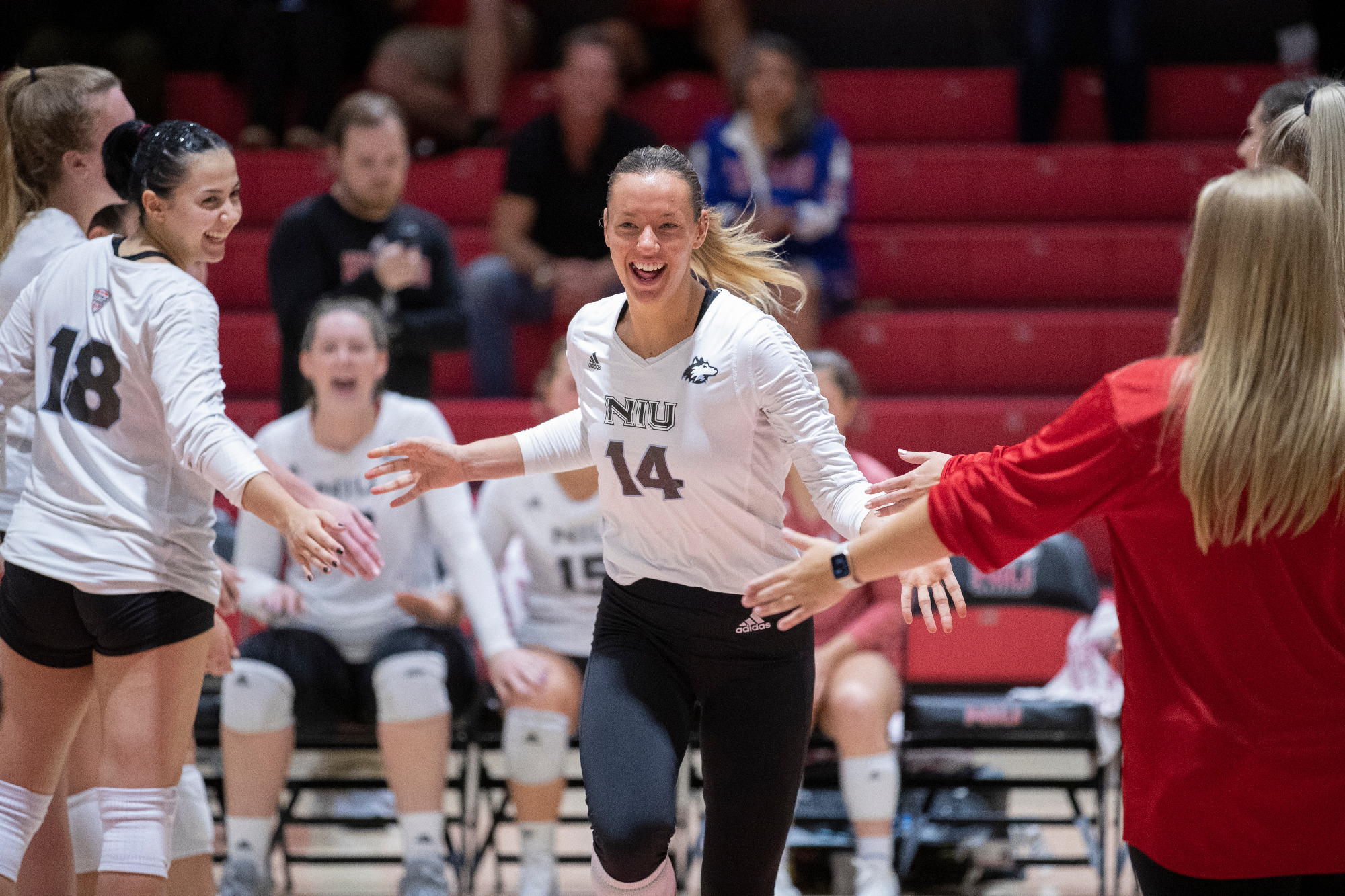 Kaitlyn Bell - Women's Volleyball - NIU Athletics