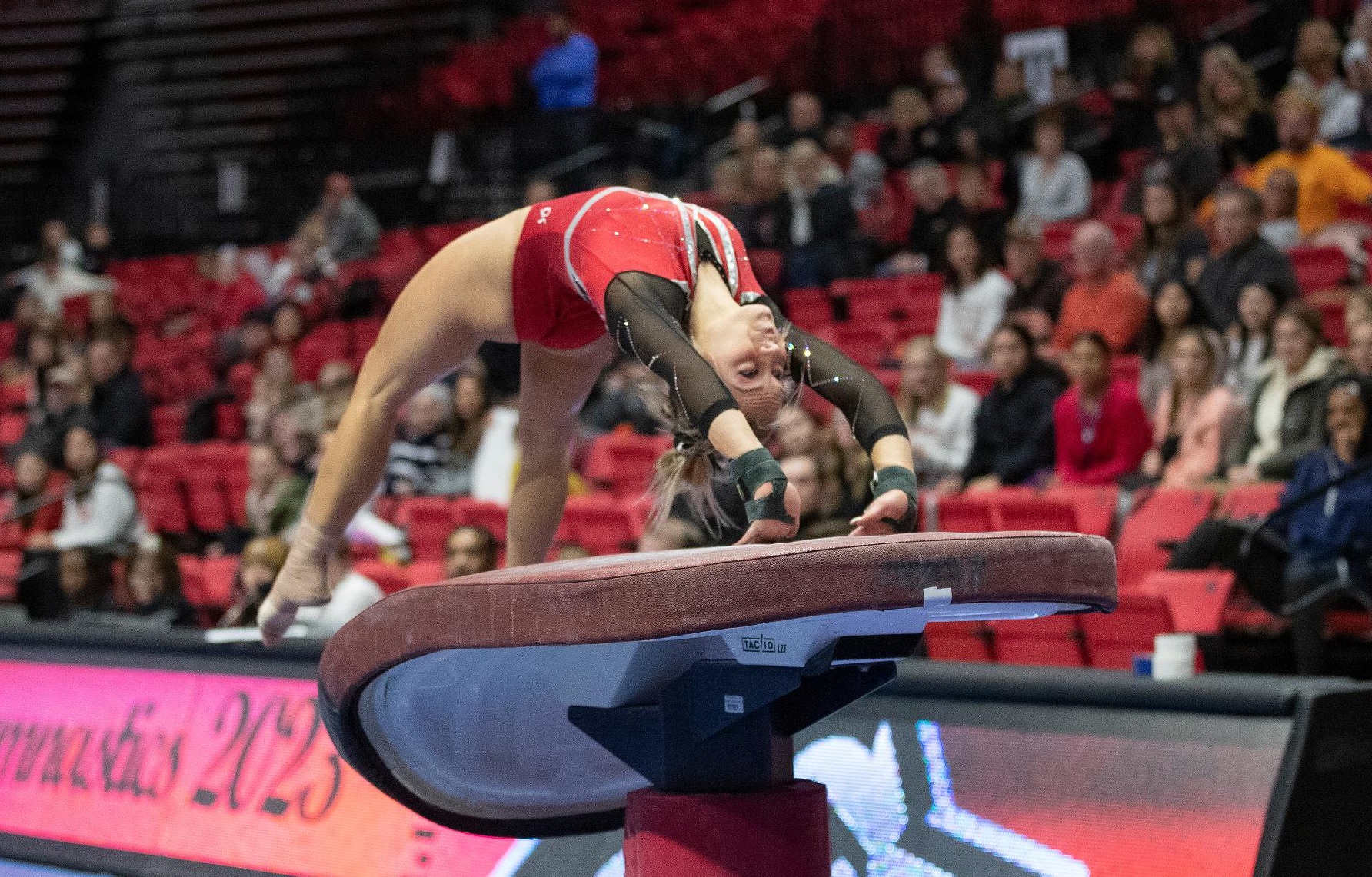 Emmalise Nock - Women's Gymnastics - NIU Athletics