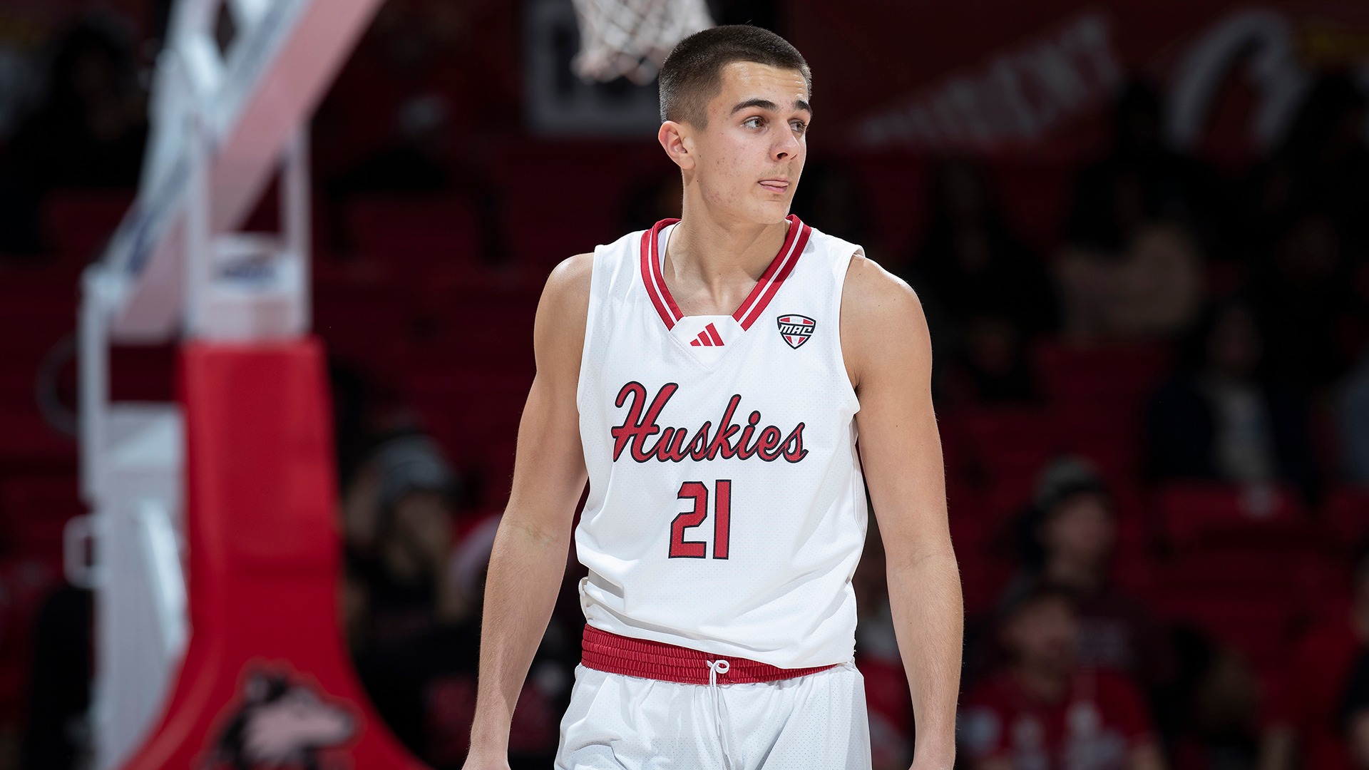 Luka Gogic - Men's Basketball - NIU Athletics