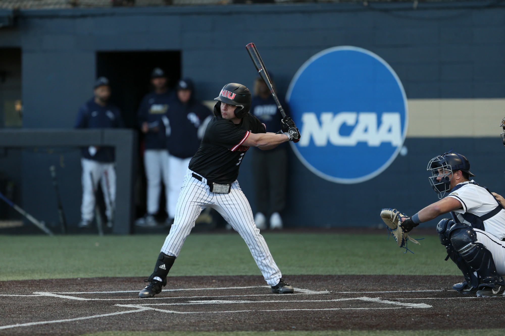 Parker Shupe - Baseball - NIU Athletics