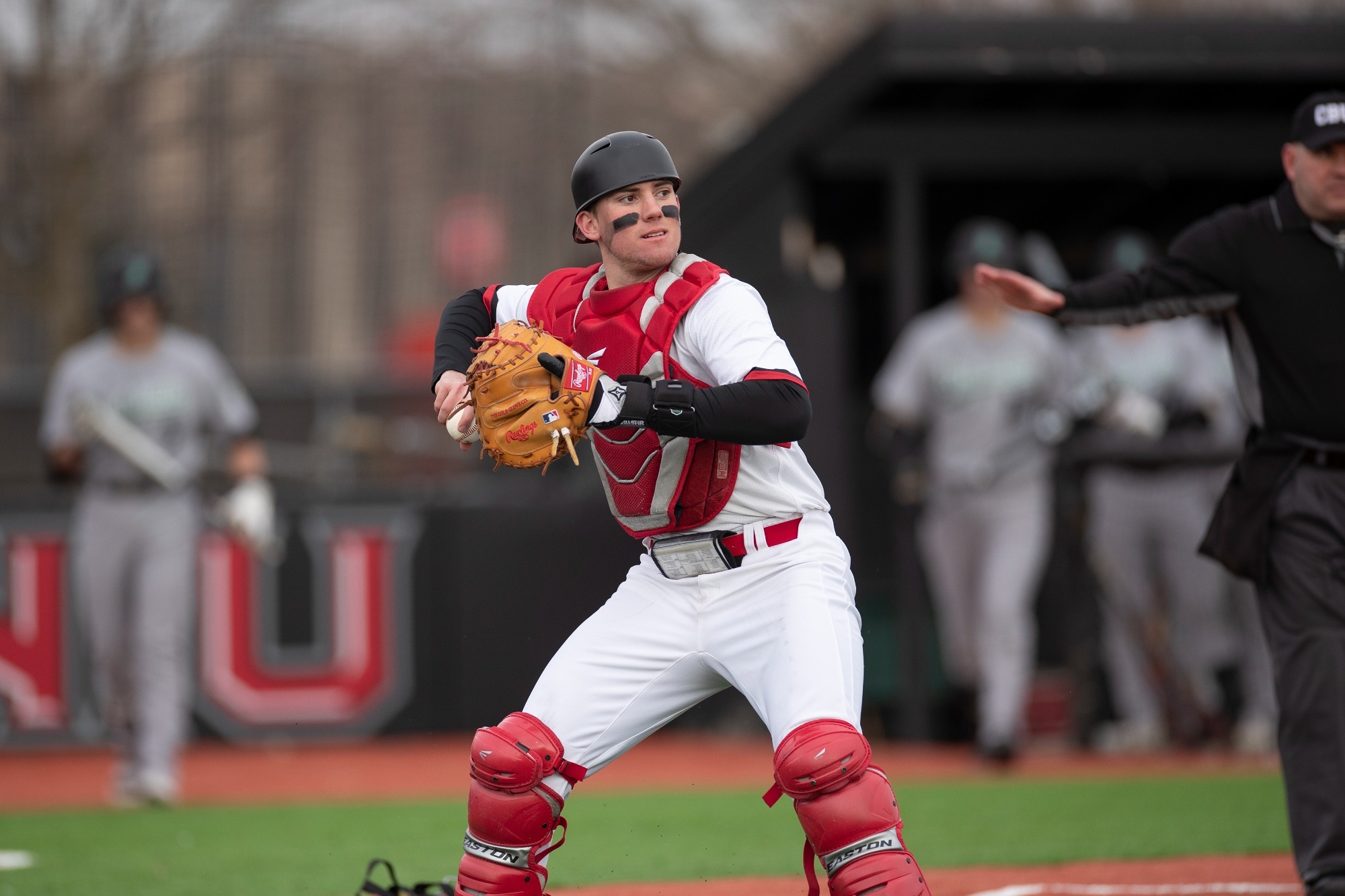 Colin Summerhill - Baseball - NIU Athletics