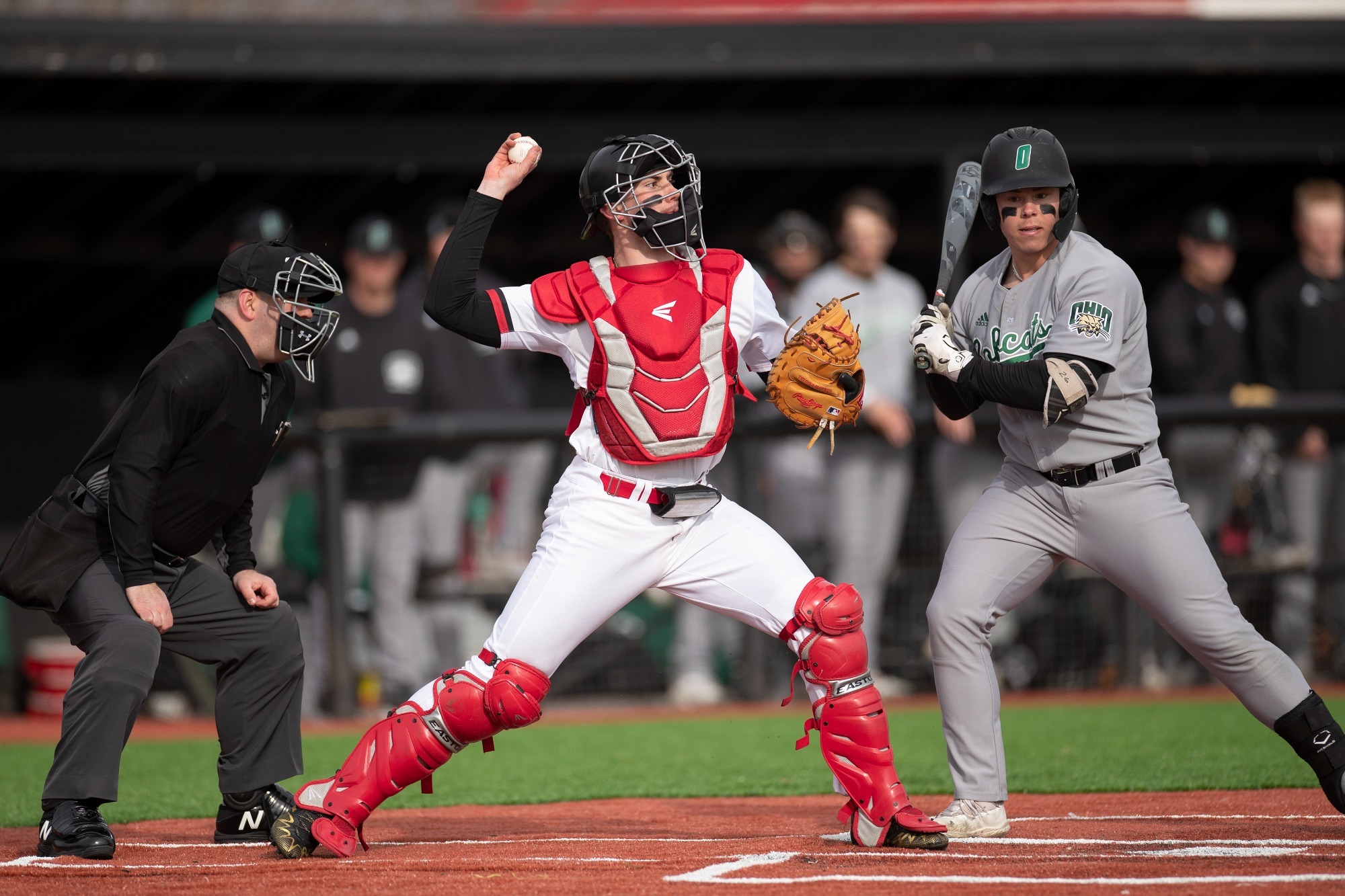 Colin Summerhill - Baseball - NIU Athletics