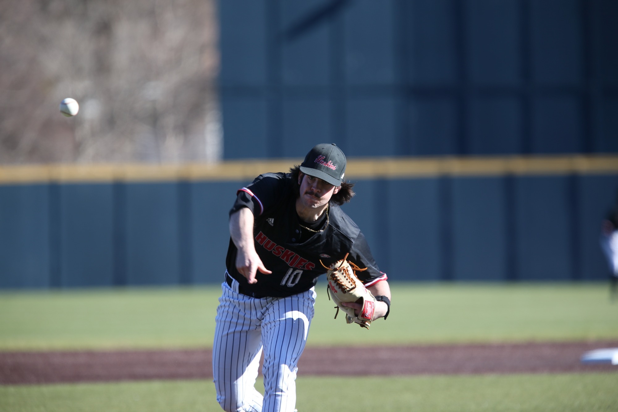 Dominic Hann - Baseball - NIU Athletics
