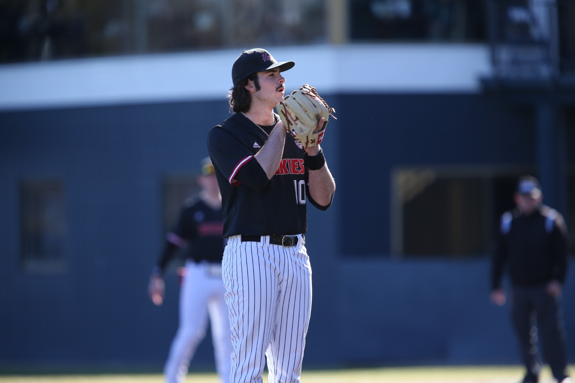 Dominic Hann - Baseball - NIU Athletics