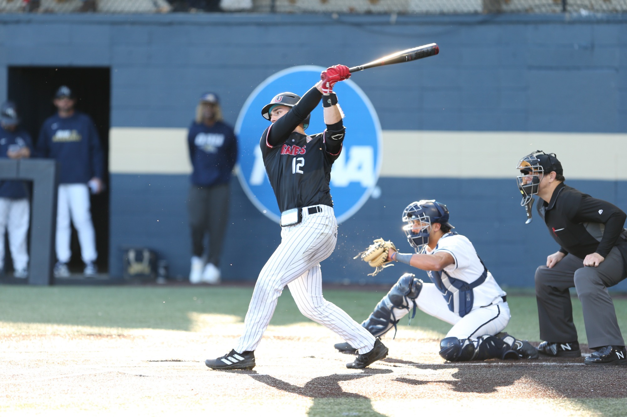 Spencer Bartel - Baseball - NIU Athletics