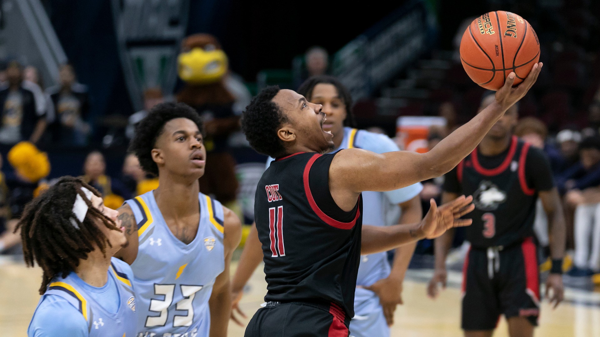 David Coit - Men's Basketball - NIU Athletics