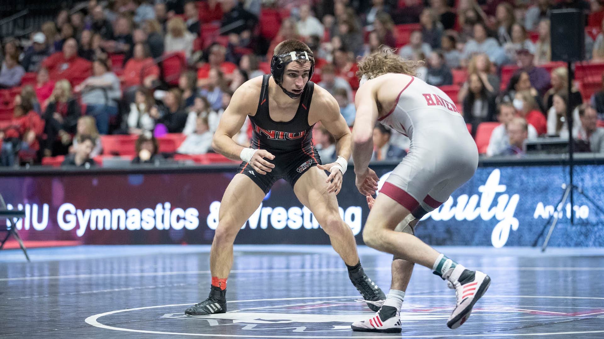 Michael Kaminski - Wrestling - NIU Athletics
