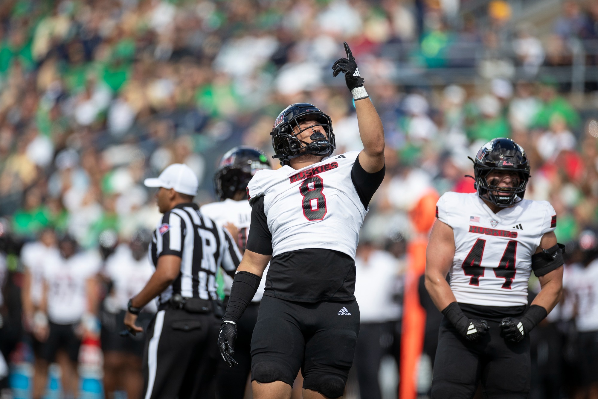 Quinn Sanders Named NIU Offensive Coordinator/Quarterbacks Coach - NIU ...