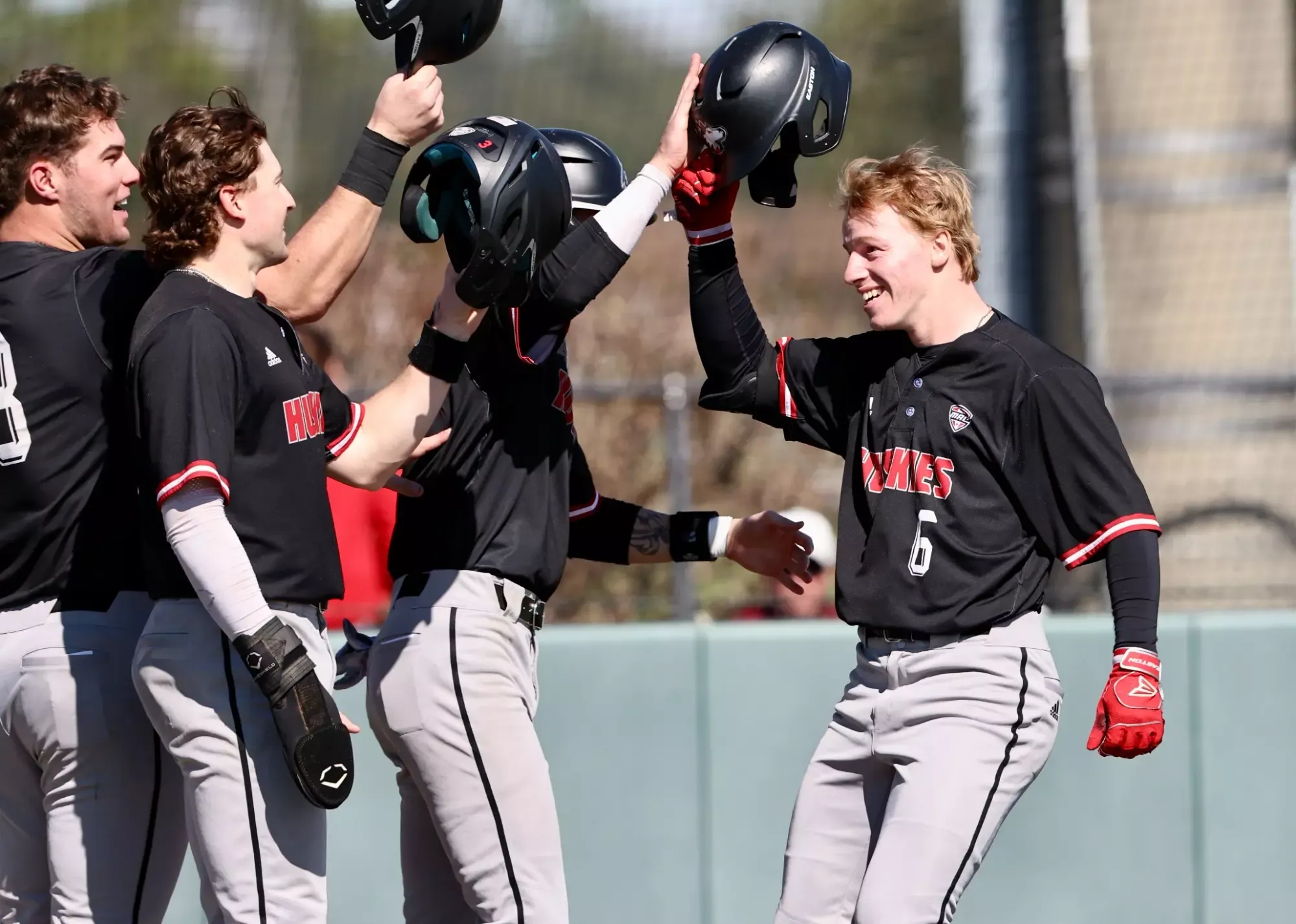 NIU Baseball Opens 2025 Season At Nicholls This Weekend - NIU Athletics