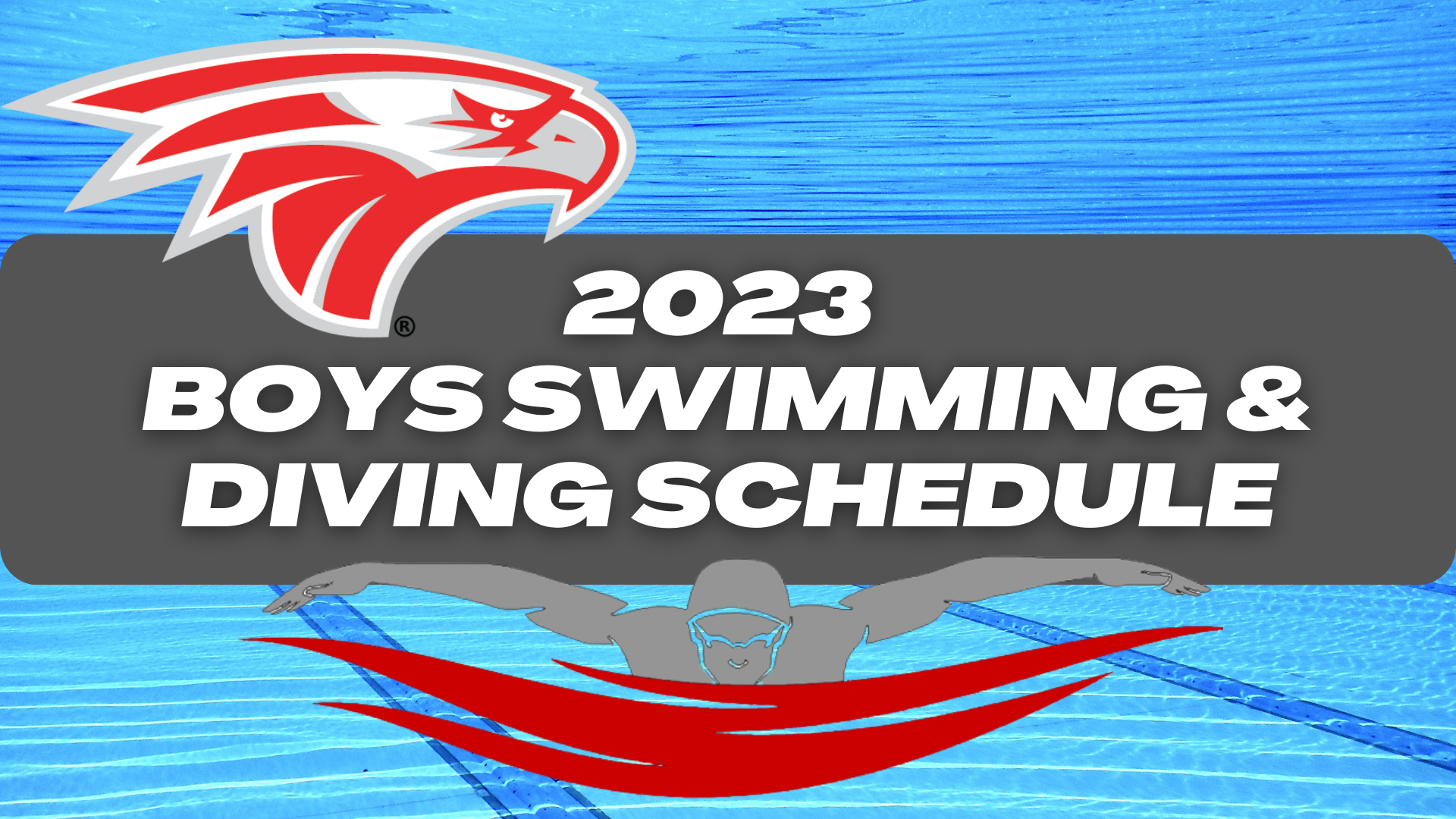 Boys state swimming championships recap, top-30 finishes for Nixa ...