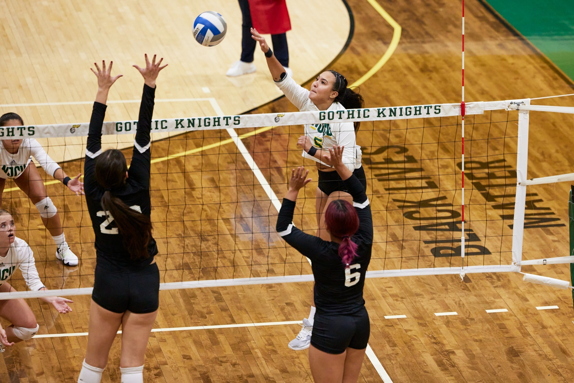 Women's Volleyball Drops NJAC Bout Against Stockton - New Jersey City ...