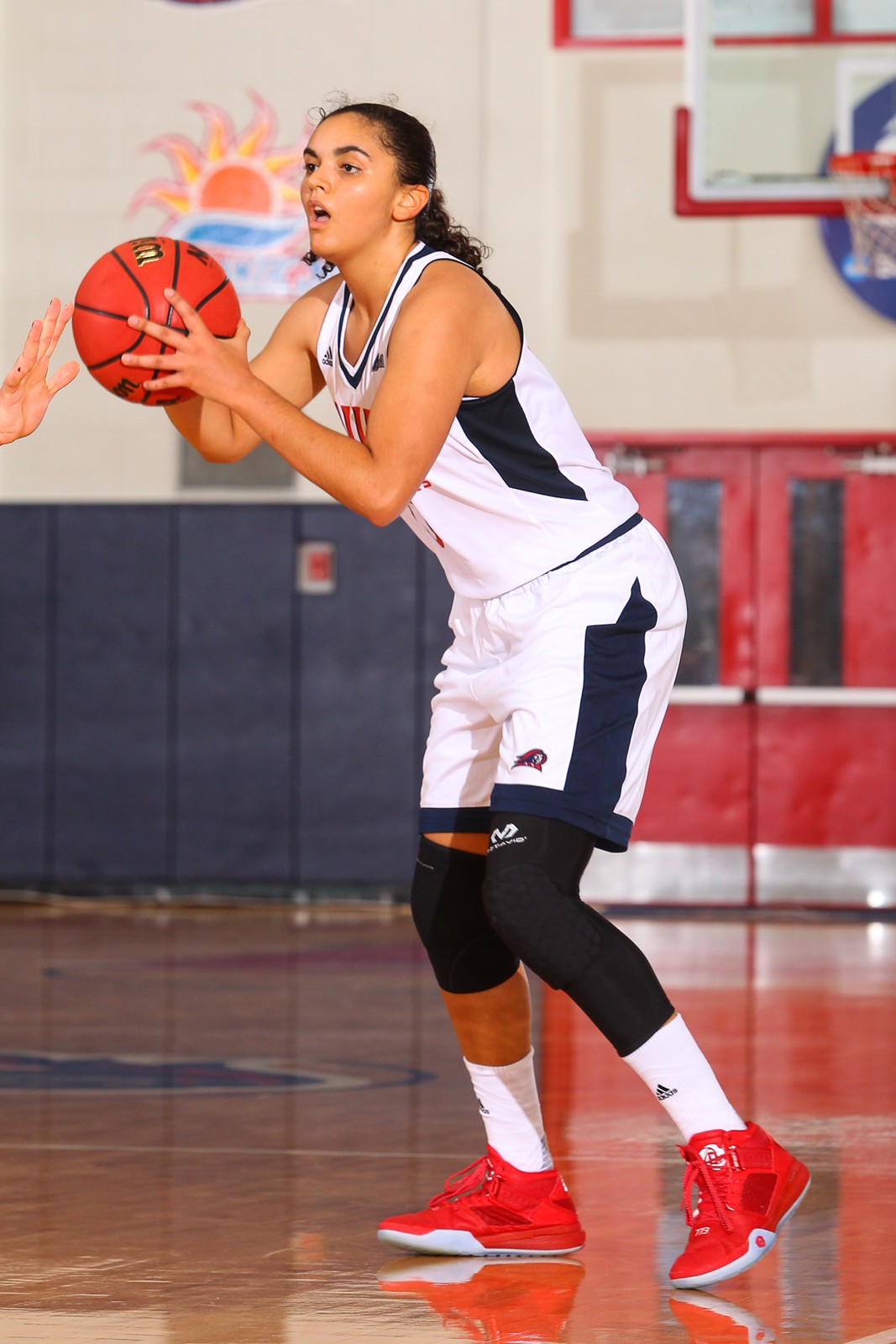 Ronni Grandison - Women's Basketball - New Jersey Institute of ...