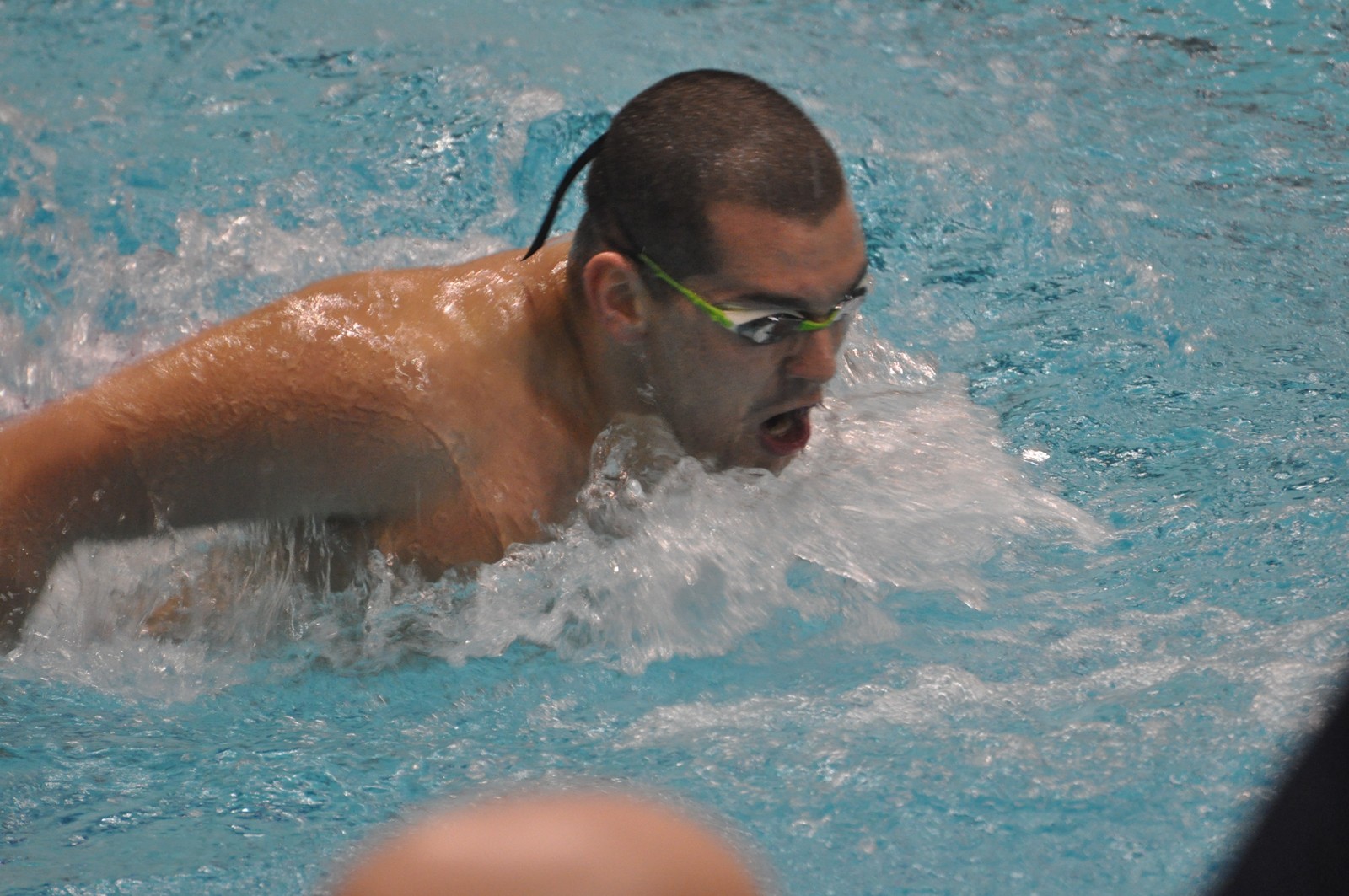 Adam Bransky - Men's Swimming & Diving - New Jersey Institute of ...