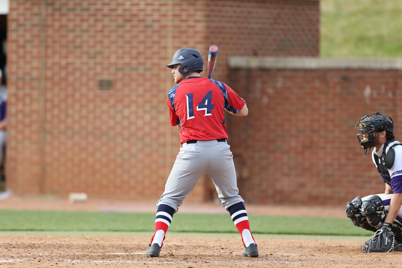 Brady Hall - Baseball - New Jersey Institute of Technology Athletics