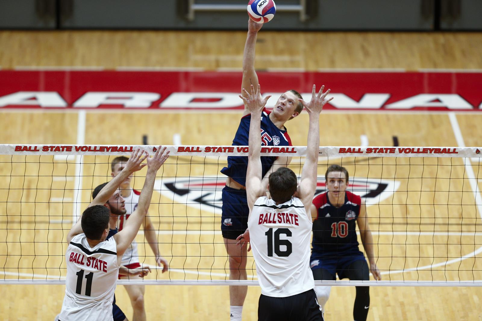 Kevin Myren - Men's Volleyball - New Jersey Institute of Technology ...