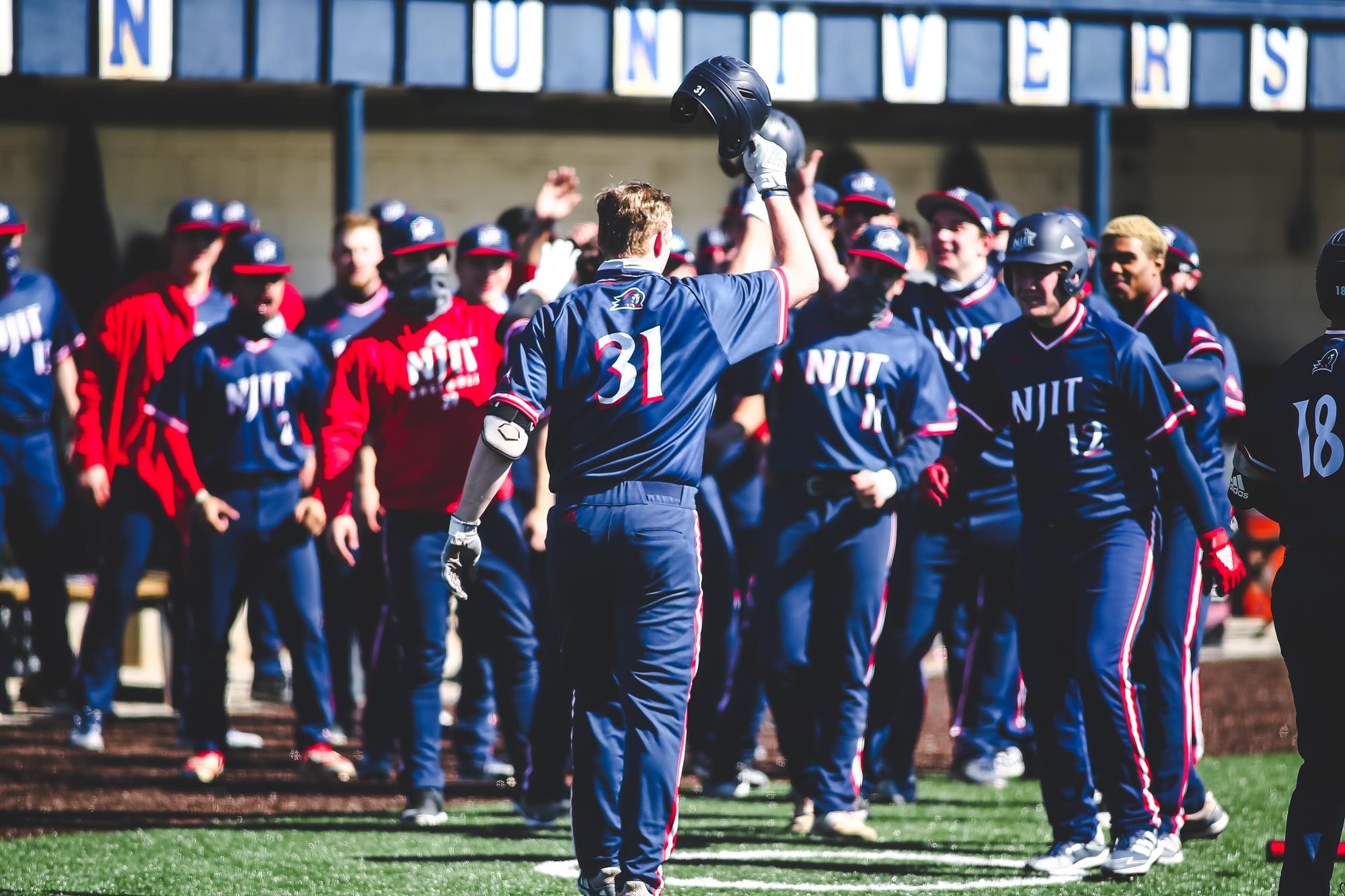 Luke Longo - Baseball - New Jersey Institute of Technology Athletics