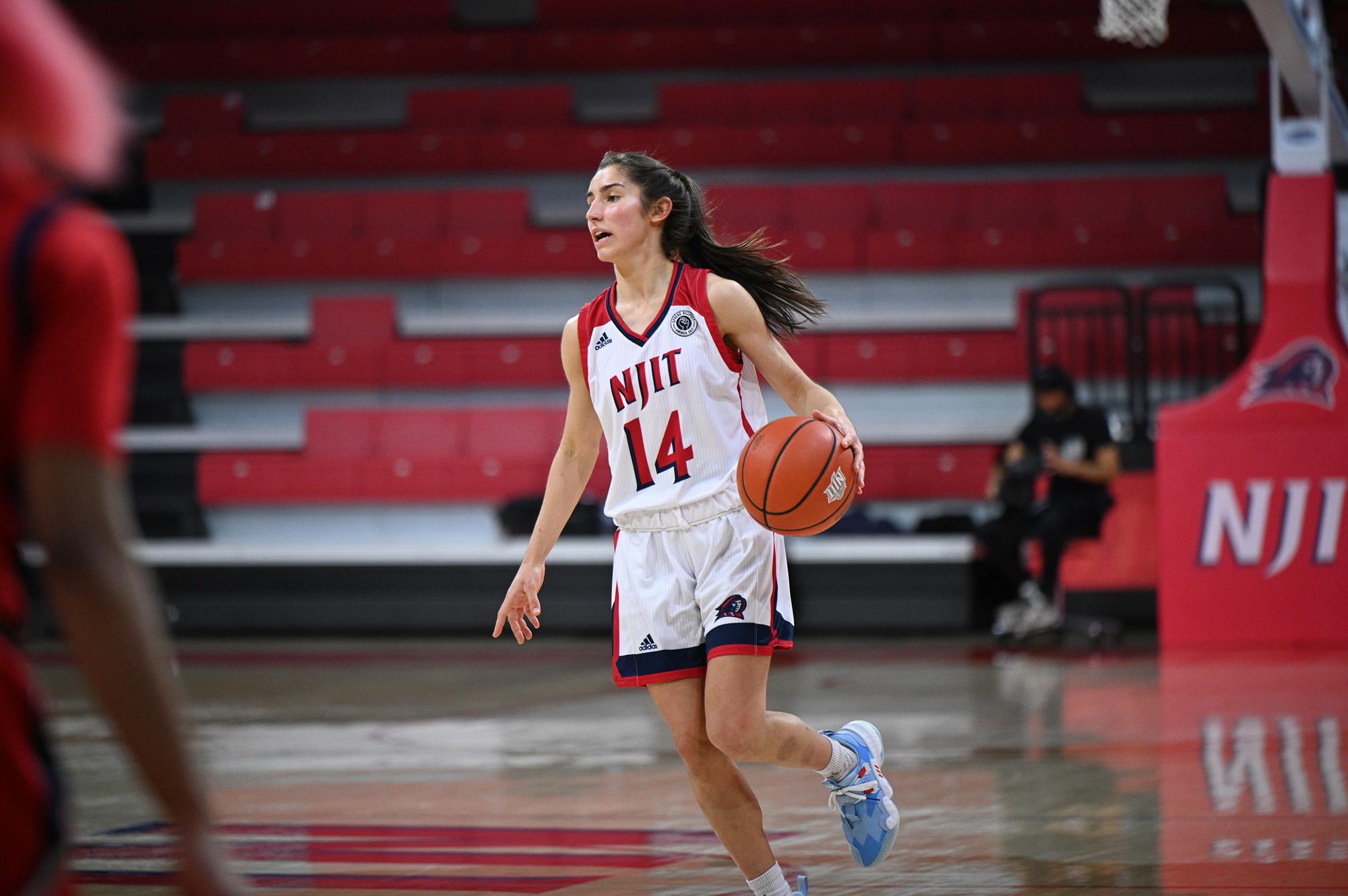 NJIT Moves to 3-0 In America East Action; Litwinko Paces NJIT with ...