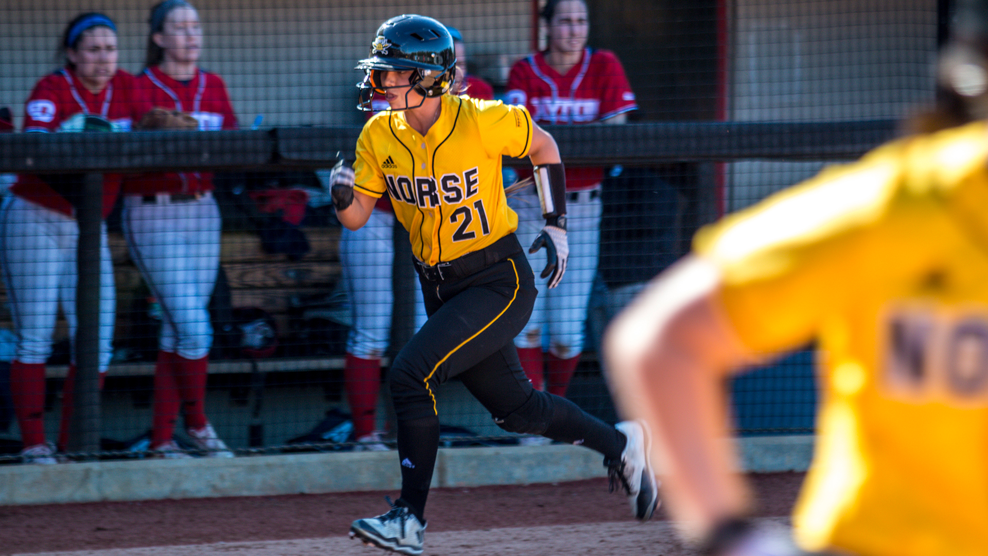 Kailey Rossiter - Softball - Northern Kentucky University Athletics