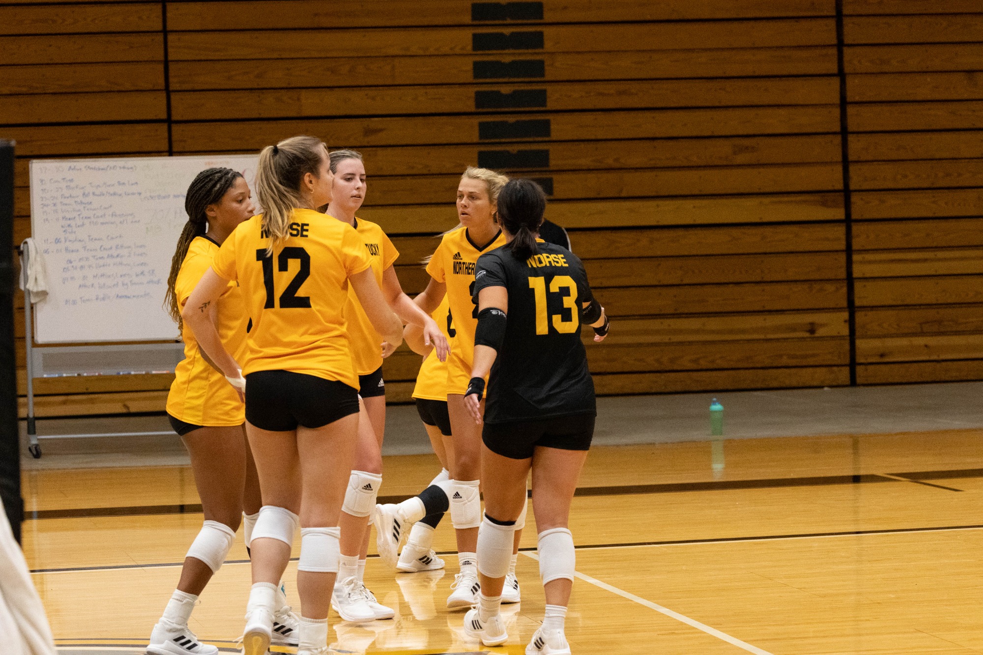 Volleyball downed by No. 4 Louisville in Season Opener - Northern ...