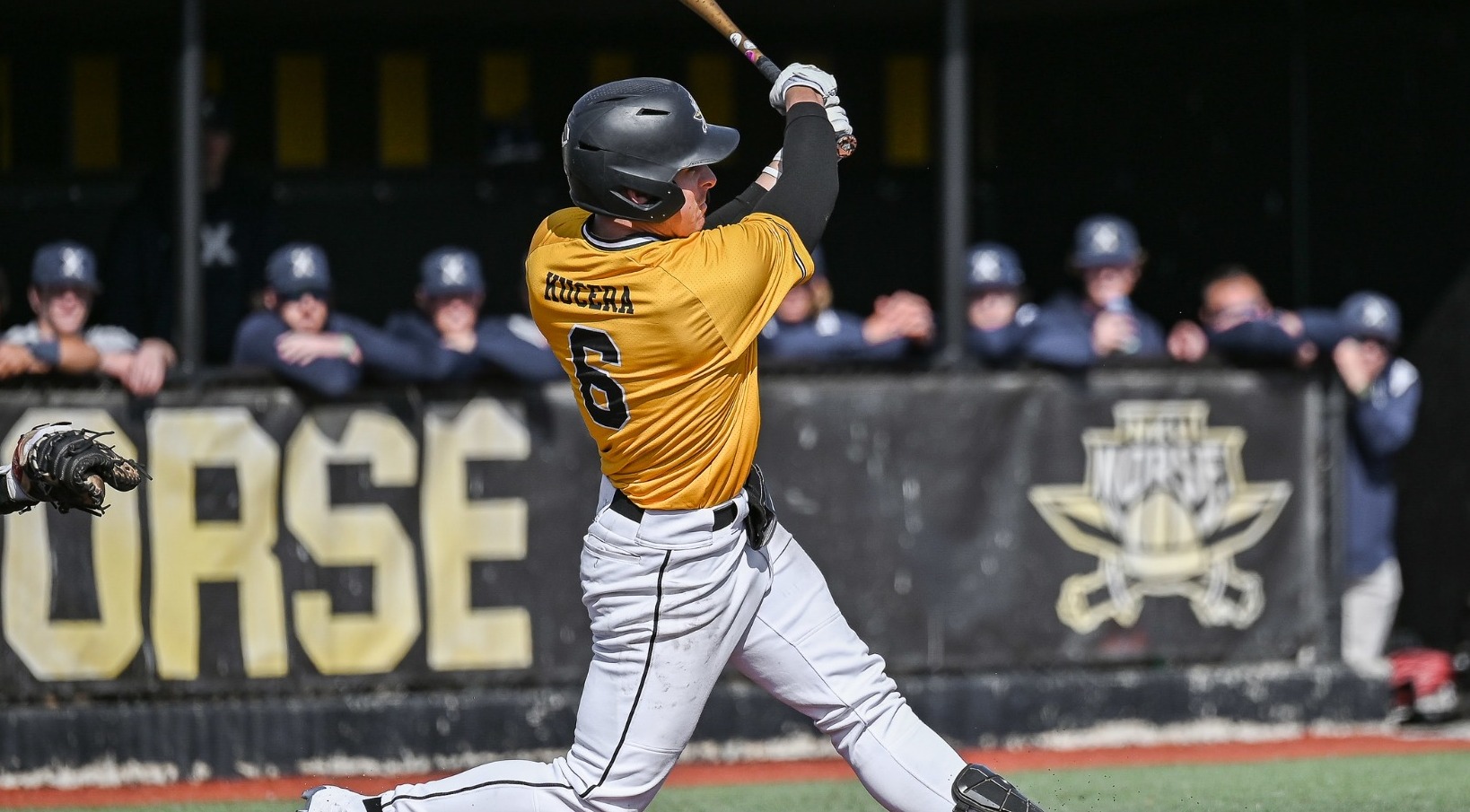 Colton Kucera - Baseball - Northern Kentucky University Athletics