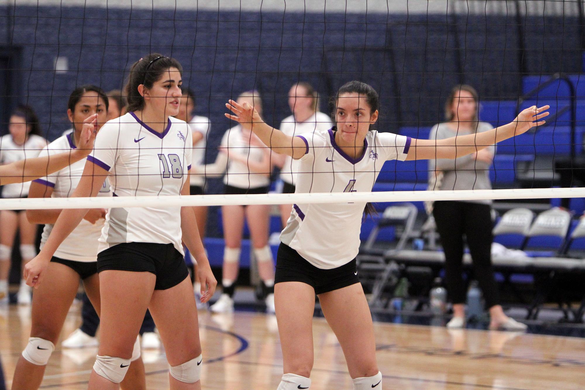 Keegan Lopez - 2022 - Volleyball - New Mexico Highlands University ...