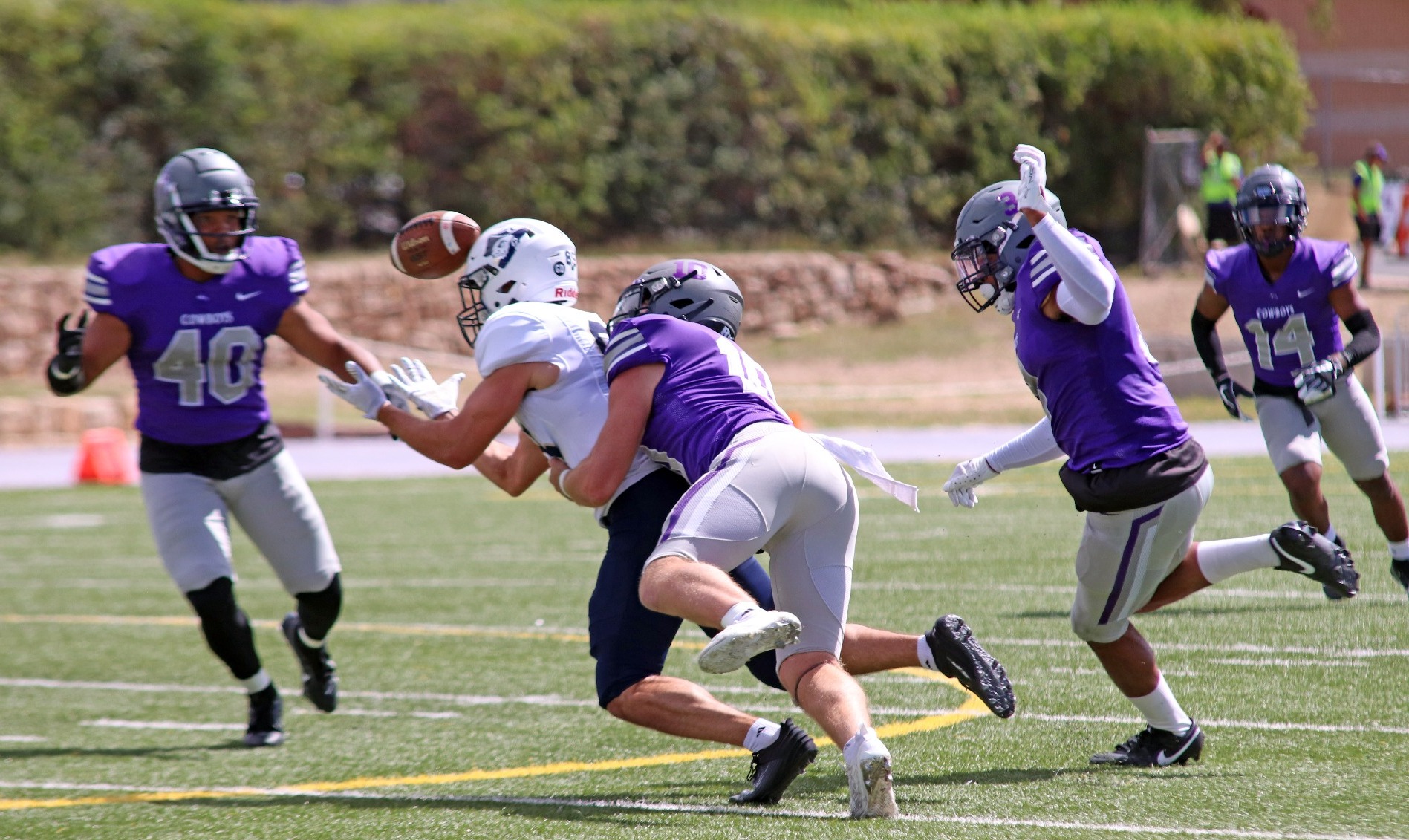 Kurt Taufa’asau Named NMHU Head Football Coach - New Mexico Highlands ...