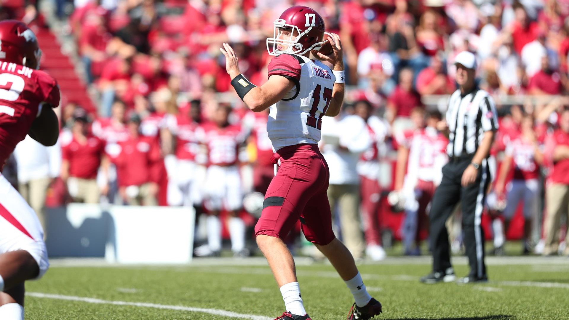 Tyler Rogers - 2017 - Football - New Mexico State University Athletics