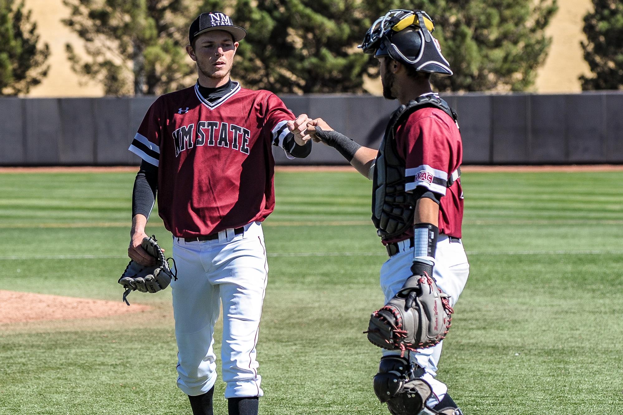 Braden Williams - 2019 - Baseball - New Mexico State University Athletics