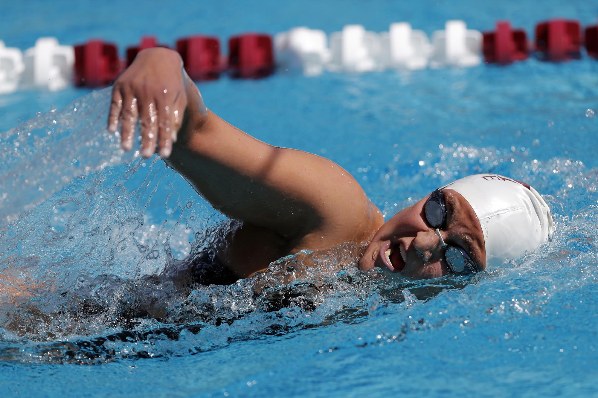 Lilly Araujo - 2019-20 - Women's Swimming and Diving - New Mexico State ...