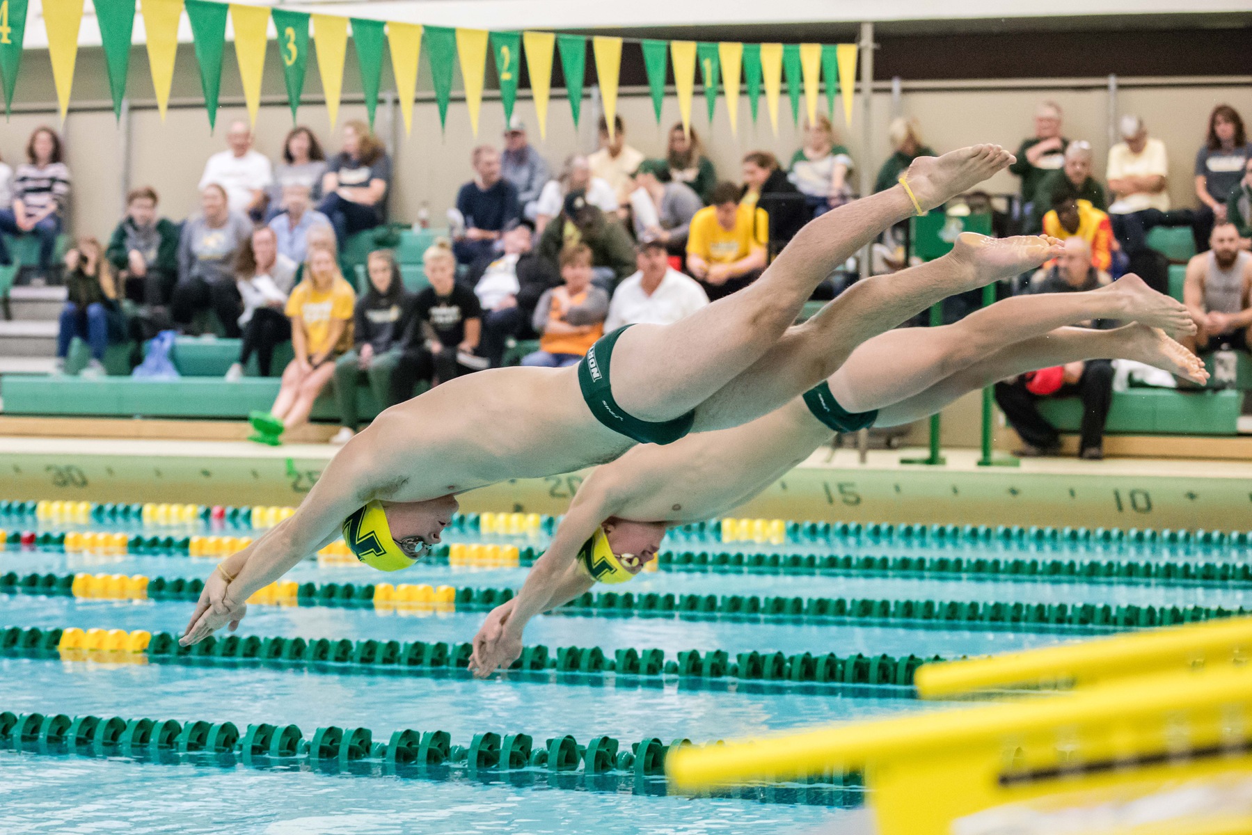 Wildcat Swim and Dive Opens Calvin College Invite With Record Breaking ...