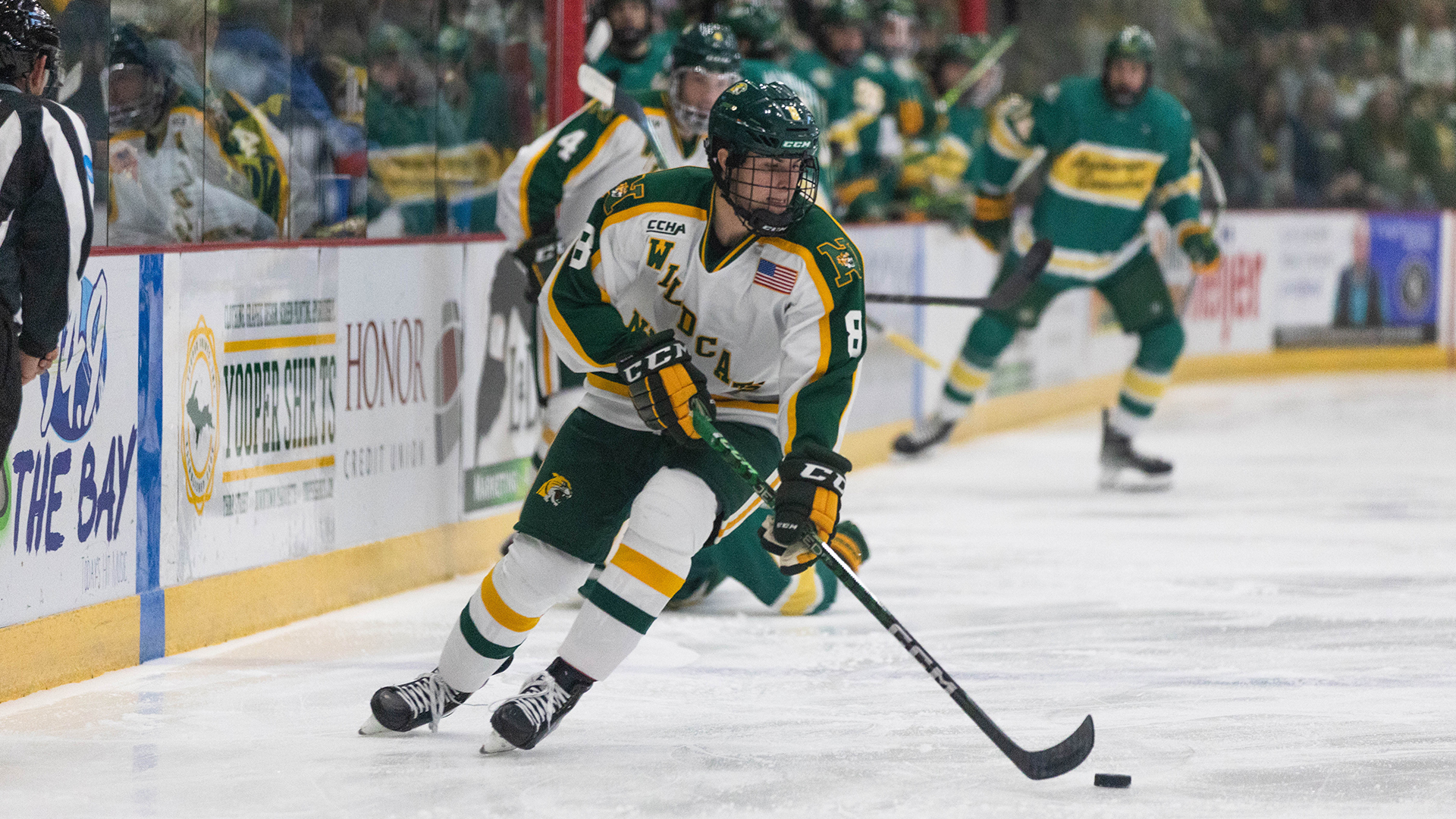 Artem Shlaine - 2023-24 - Men's Ice Hockey - Northern Michigan University