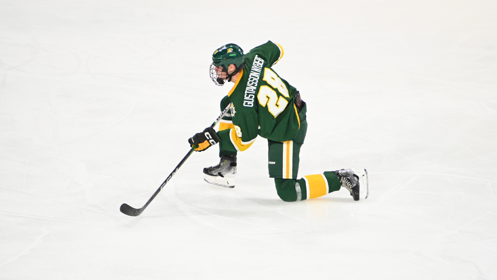 Viking Gustafsson Nyberg - 2023-24 - Men's Ice Hockey - Northern ...