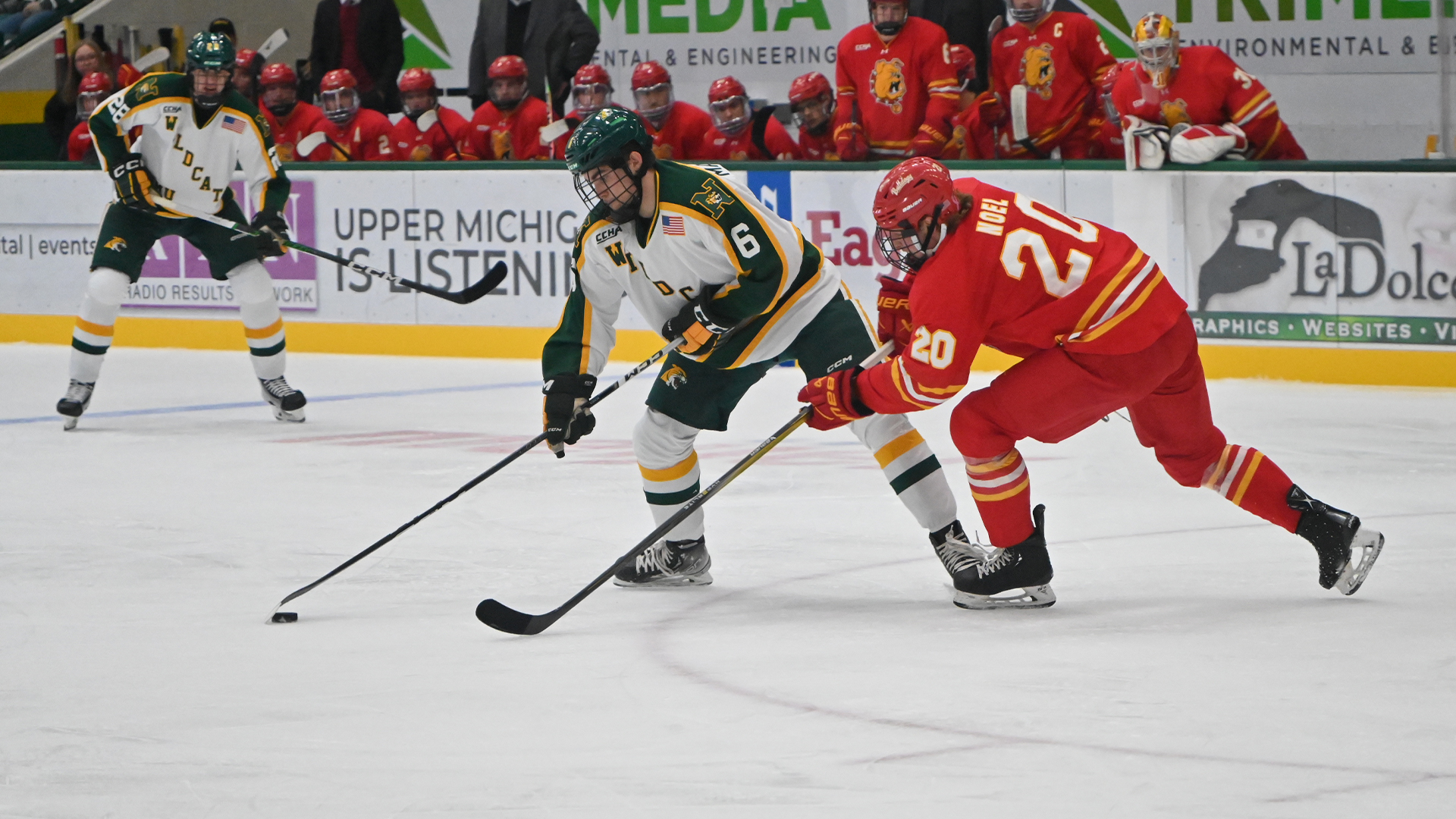 Kevin Marx Noren - 2023-24 - Men's Ice Hockey - Northern Michigan ...