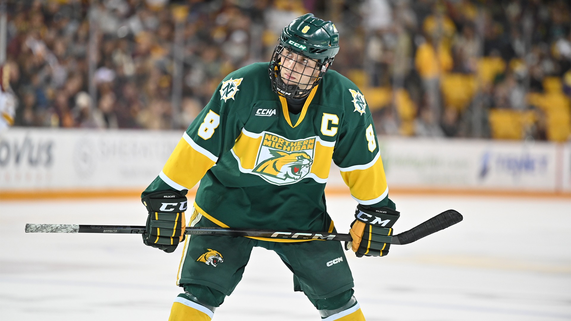 Artem Shlaine - 2023-24 - Men's Ice Hockey - Northern Michigan University