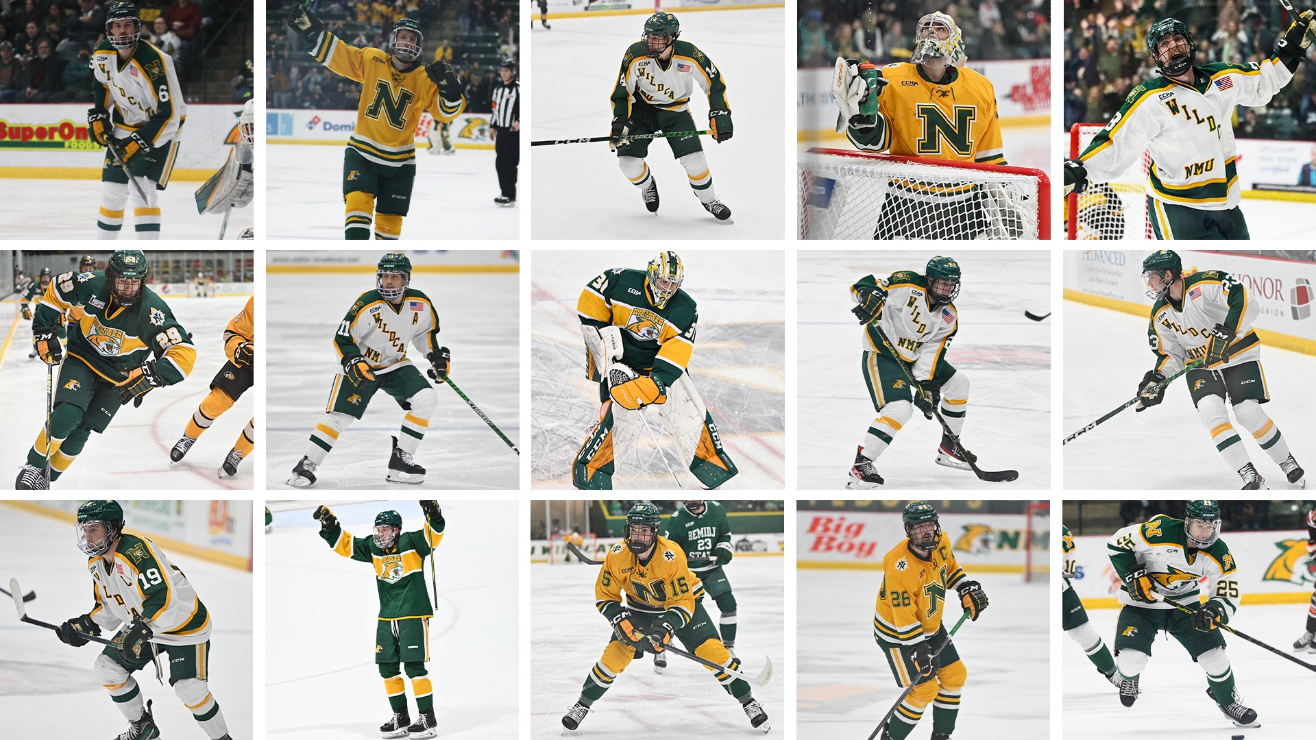 NMU Hockey Lands 15 on CCHA All-Academic Team - Northern Michigan ...