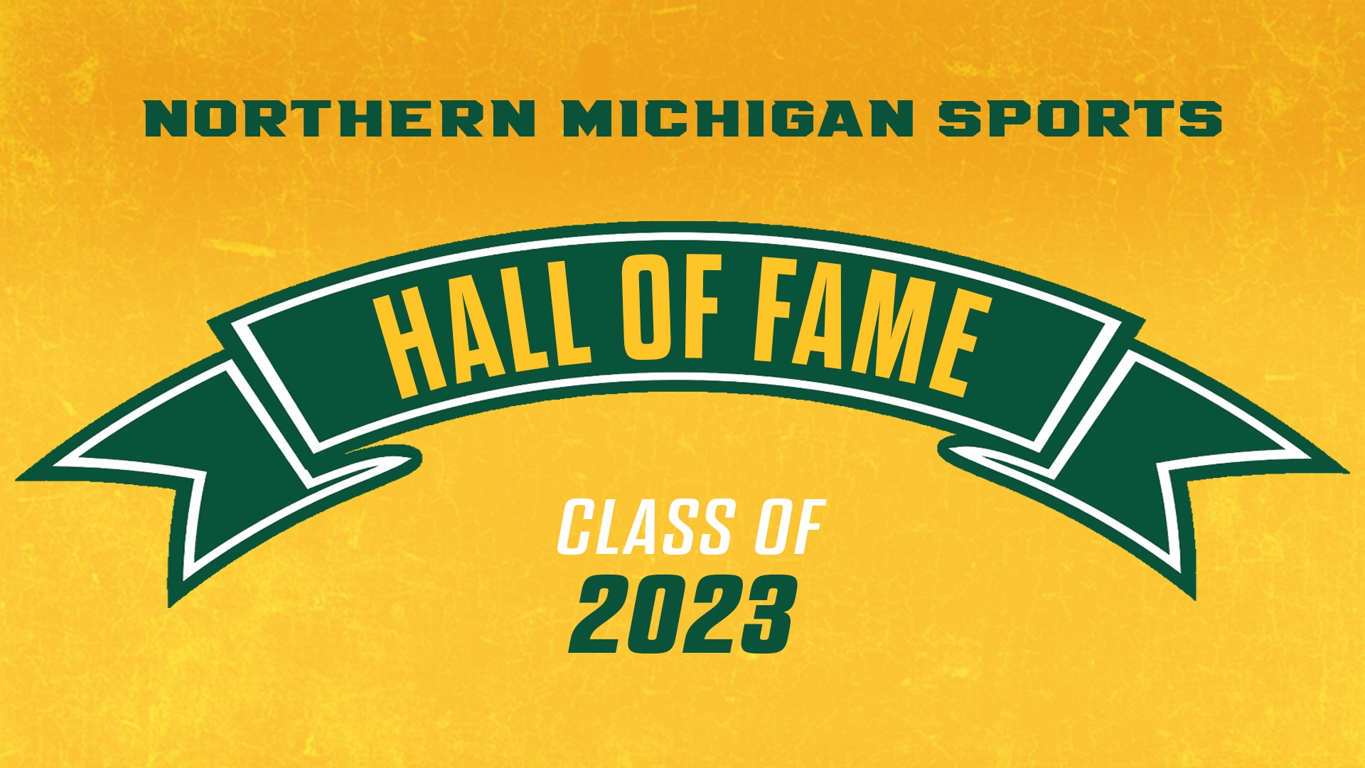 NMU Athletics Introduces the 2023 NMU Sports Hall of Fame Inductees ...