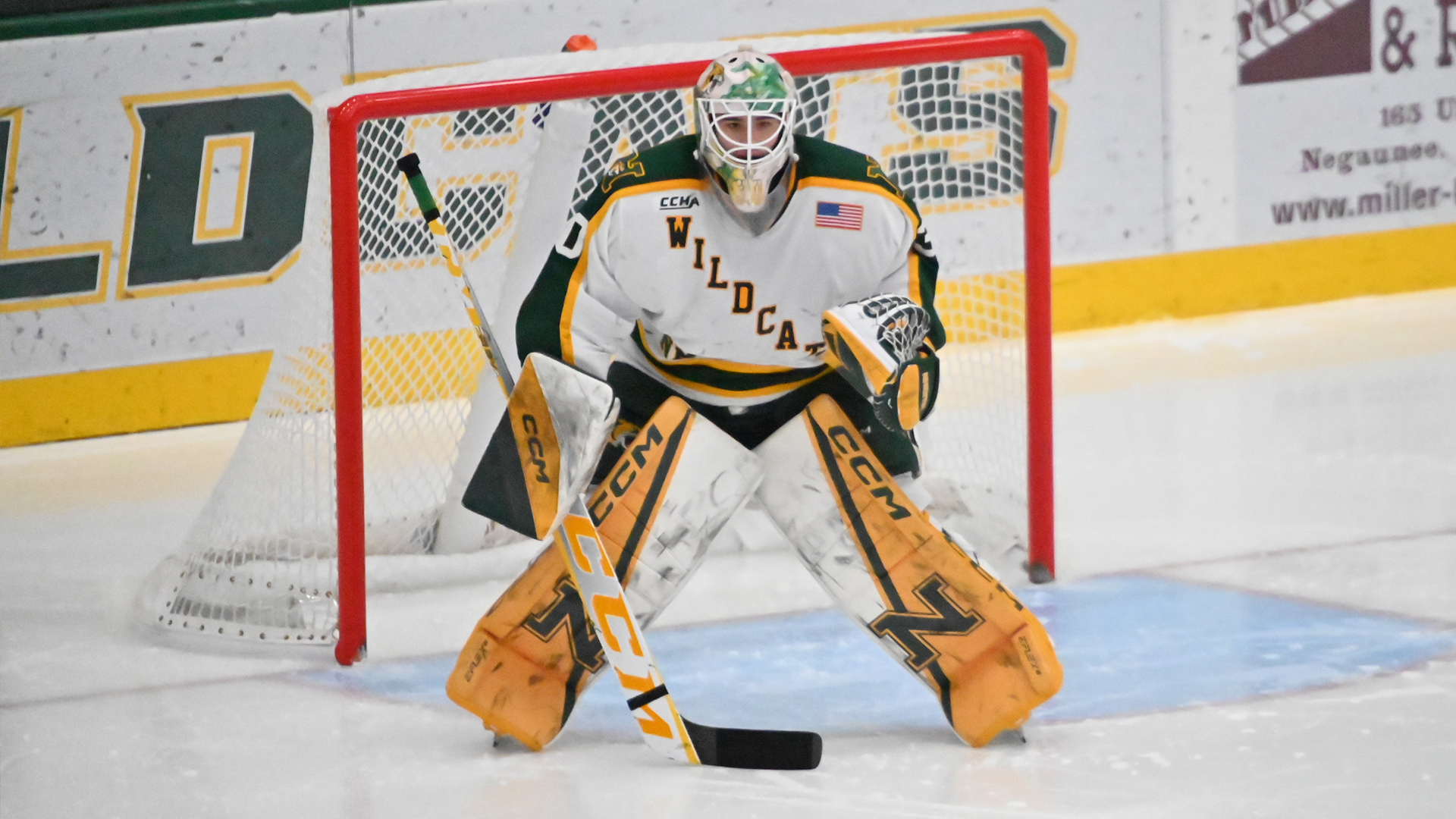 Beni Halasz - 2023-24 - Men's Ice Hockey - Northern Michigan University