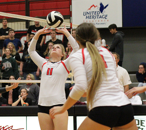 Hailey Cook - Women's Volleyball - Northwest Nazarene University Athletics