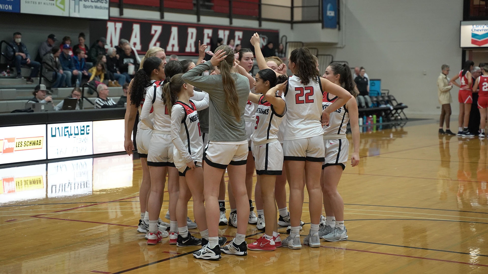 Seawolves Defeat Nighthawks - Northwest Nazarene University Athletics