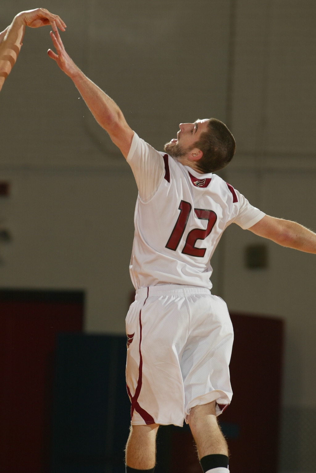 Reid Barringer - Men's Basketball - North Central College Athletics