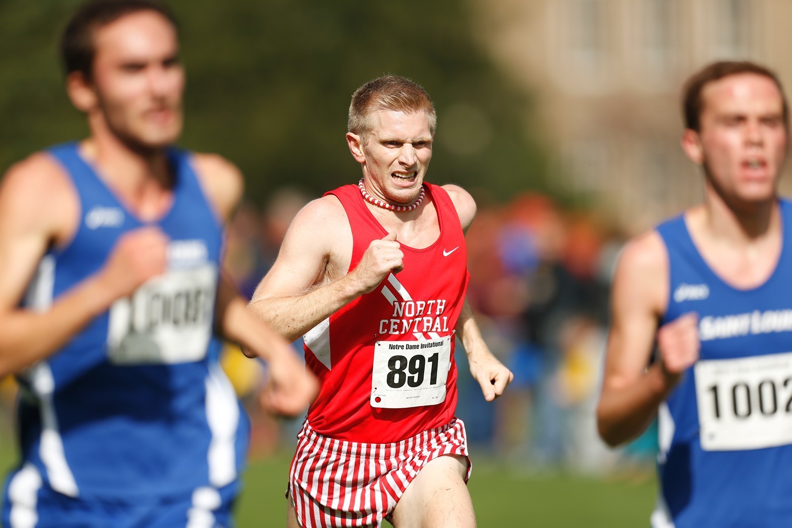 Ryan Root - Men's Cross Country - North Central College Athletics